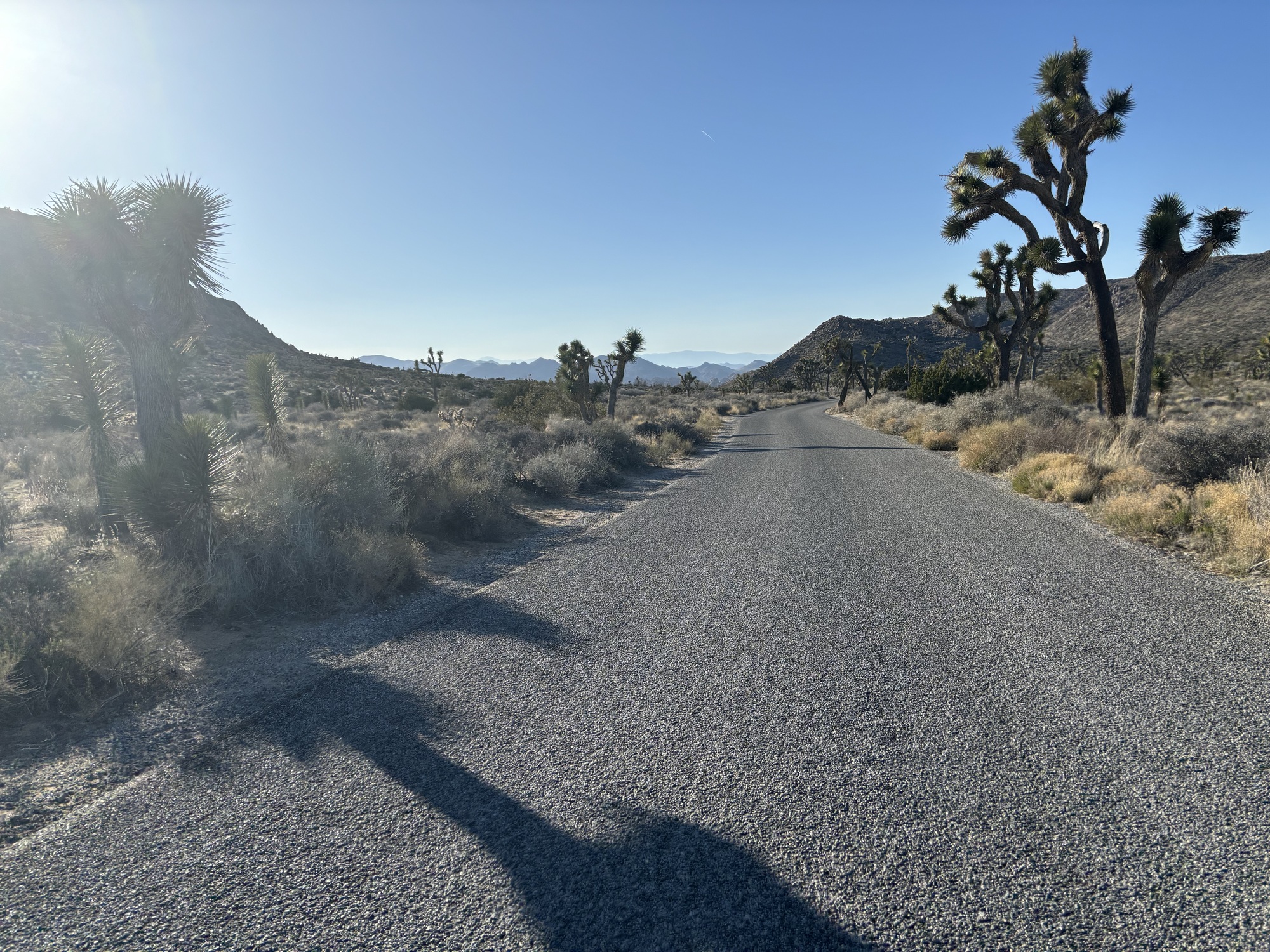 Day 43 - Fall On Me - The Borders of the US - CycleBlaze