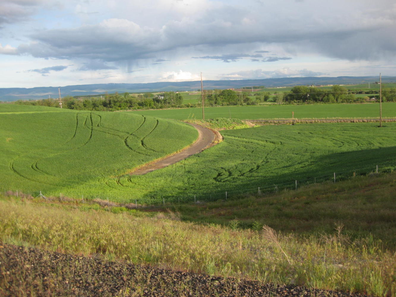 Day 17 Irrigon, Oregon to Walla Walla, Washington: Risky Gamble ...