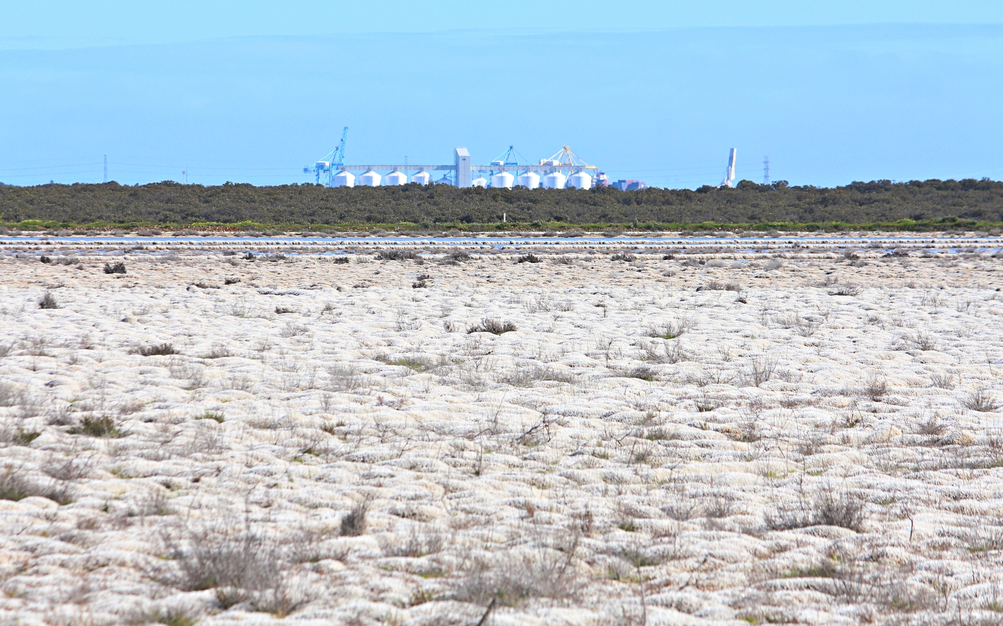 Salt Pans to St Kilda - While I Am Waiting - CycleBlaze