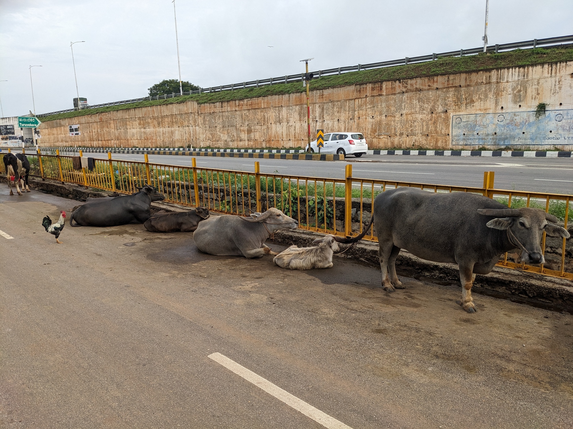 Day - 1 ( Bengaluru to Yadiyur) - It keeps getting better - India ...