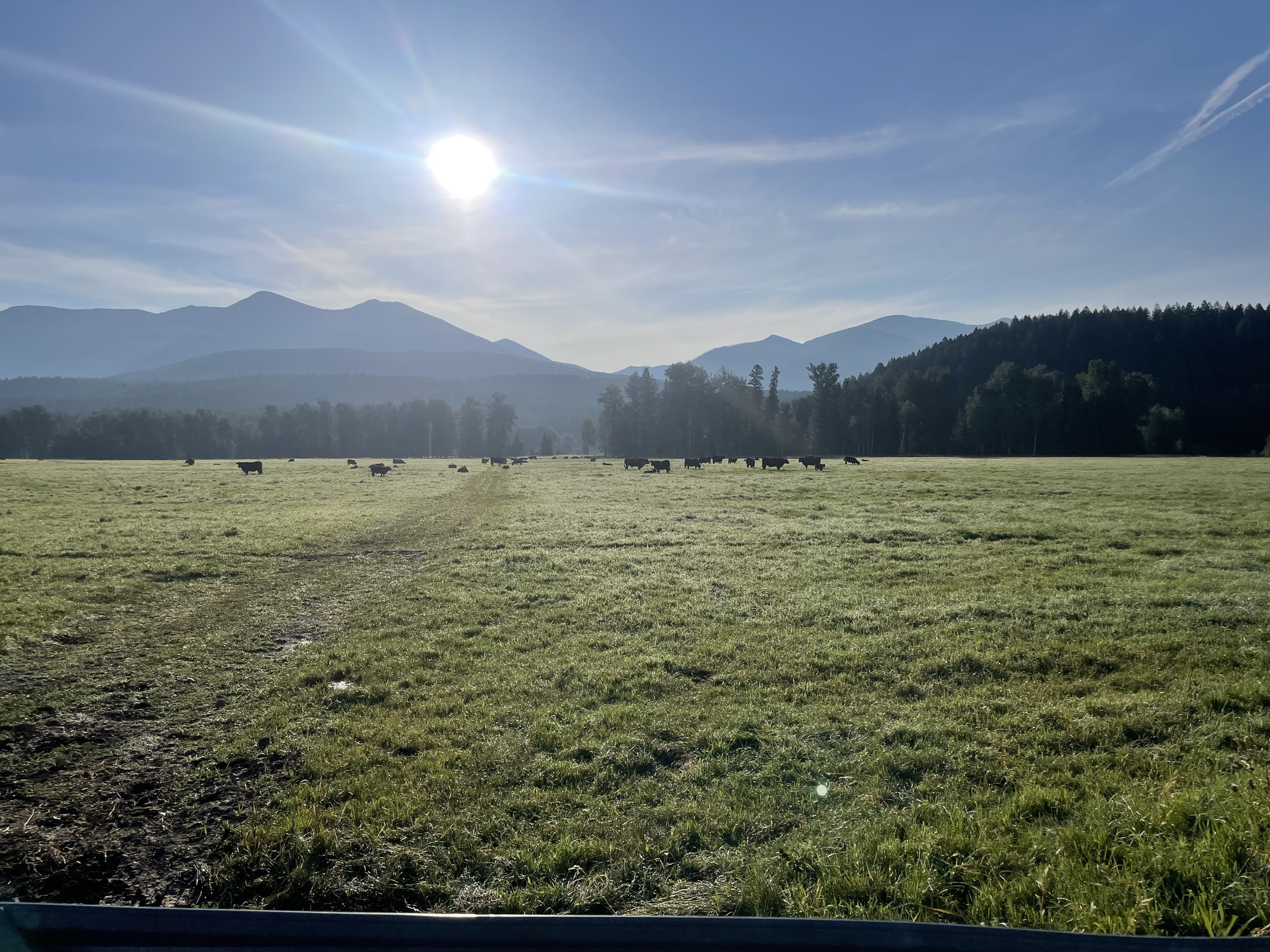 Day 4: Eureka, Montana to Wilderness. - Shifting gears on the Great Divide Mountain Bike Route ...