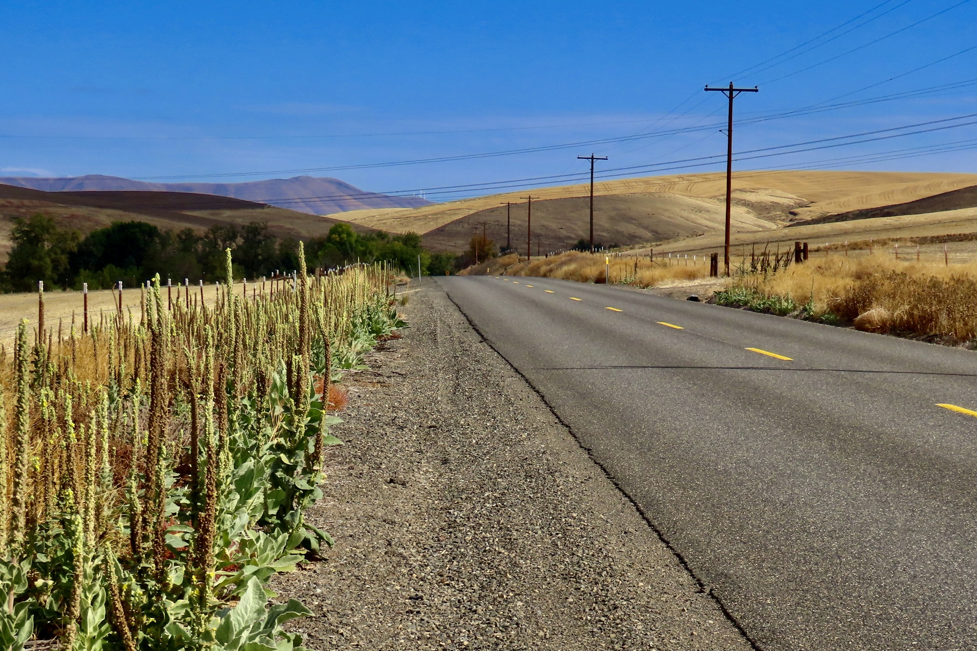 Seven Mile Hill / Eight Mile Road - Tyenne Travelin' 2025 - CycleBlaze