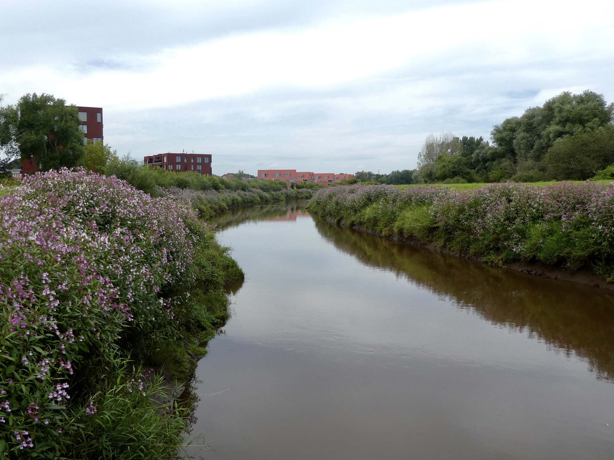 In Antwerp: the Nete Canal - The Road to Rome, Part Two: Europe ...