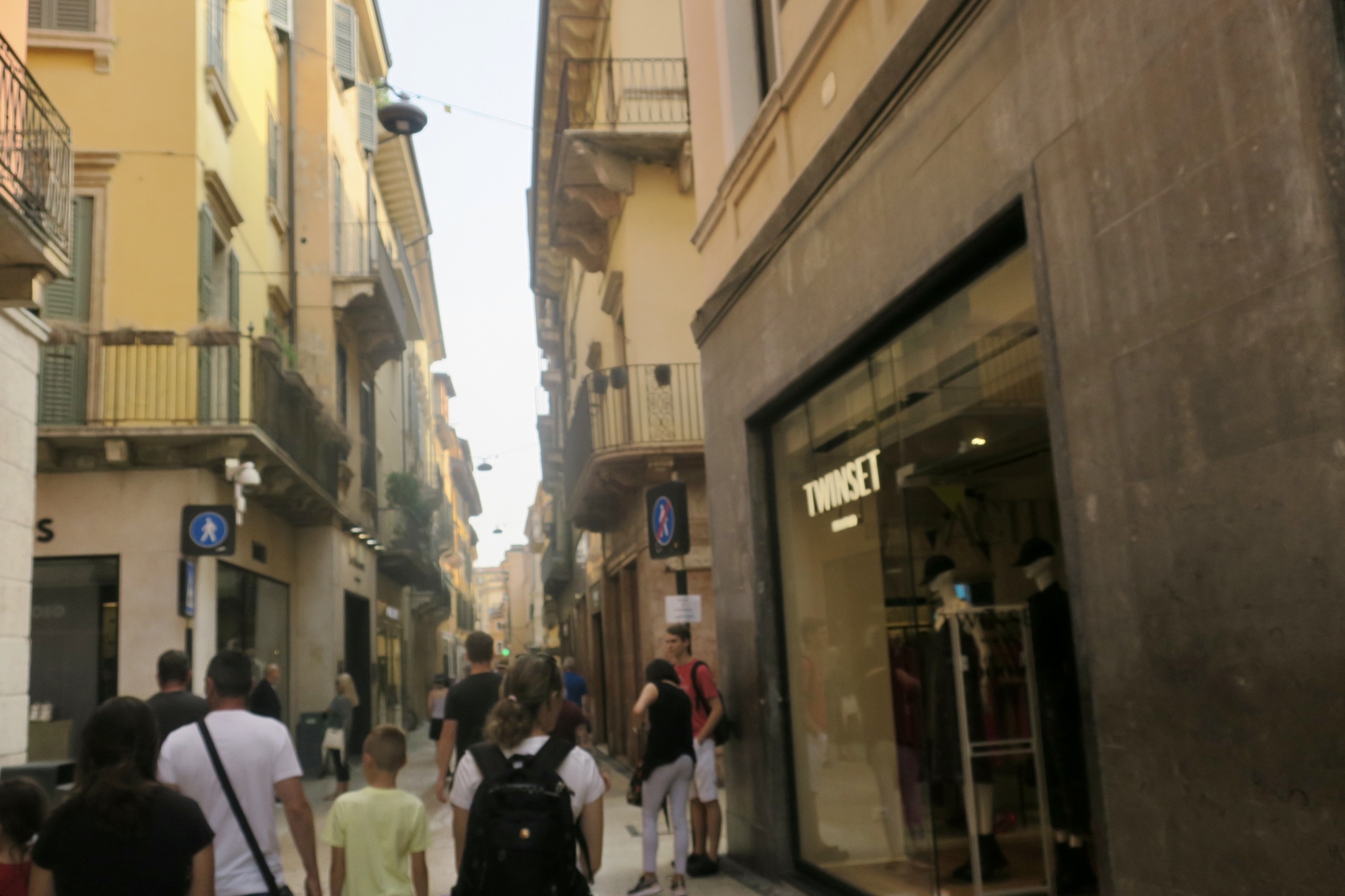 Two households, both alike in dignity, In fair Verona, where we lay our ...