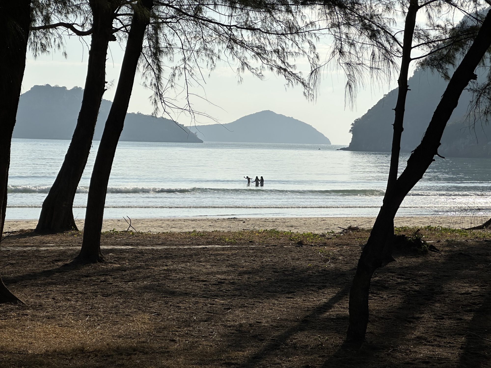 All Quiet and Orderly - Song of the Koel - CycleBlaze