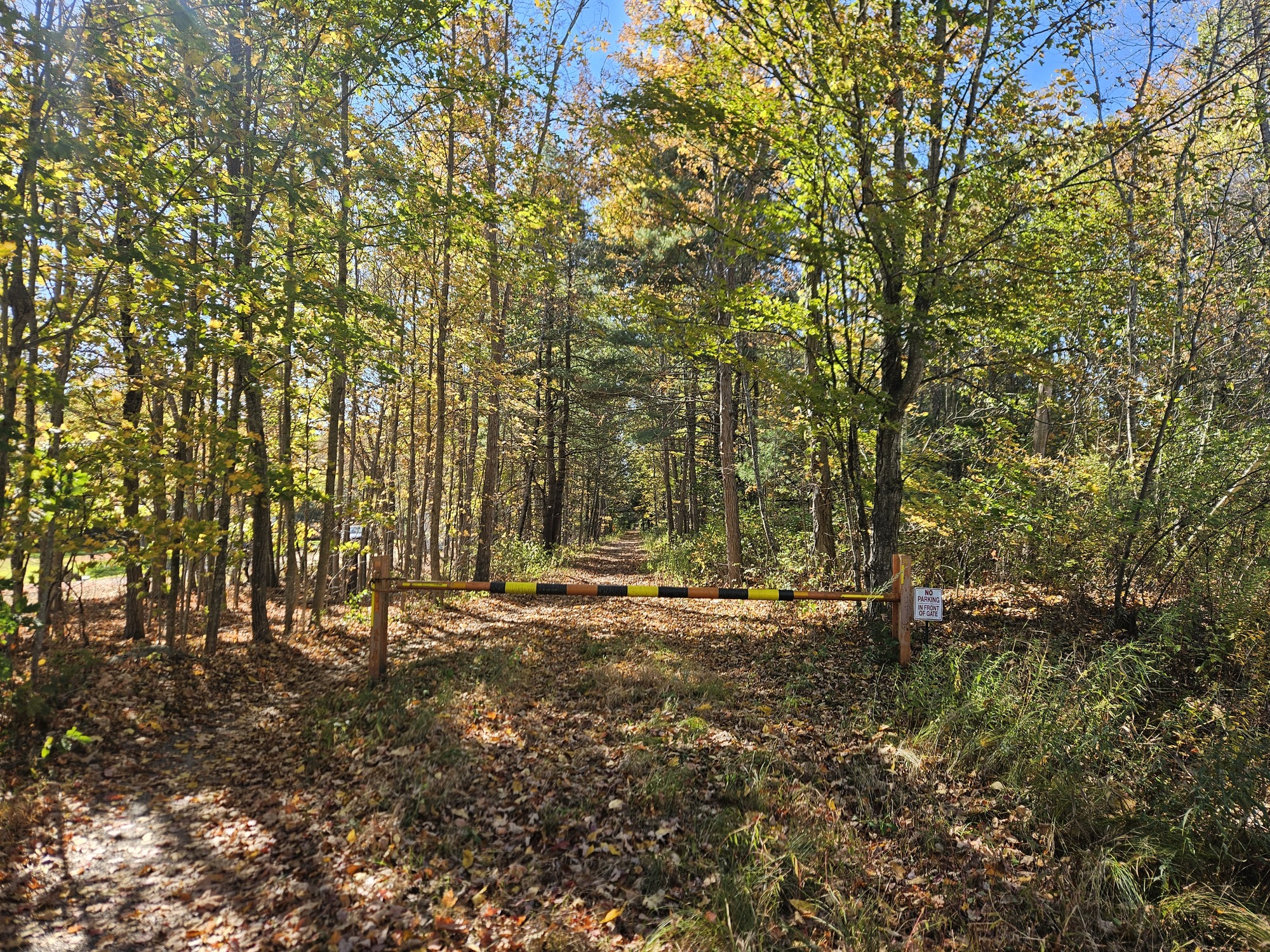 To Portsmouth: The Rockingham Trail - Gathering Leaves in New England ...