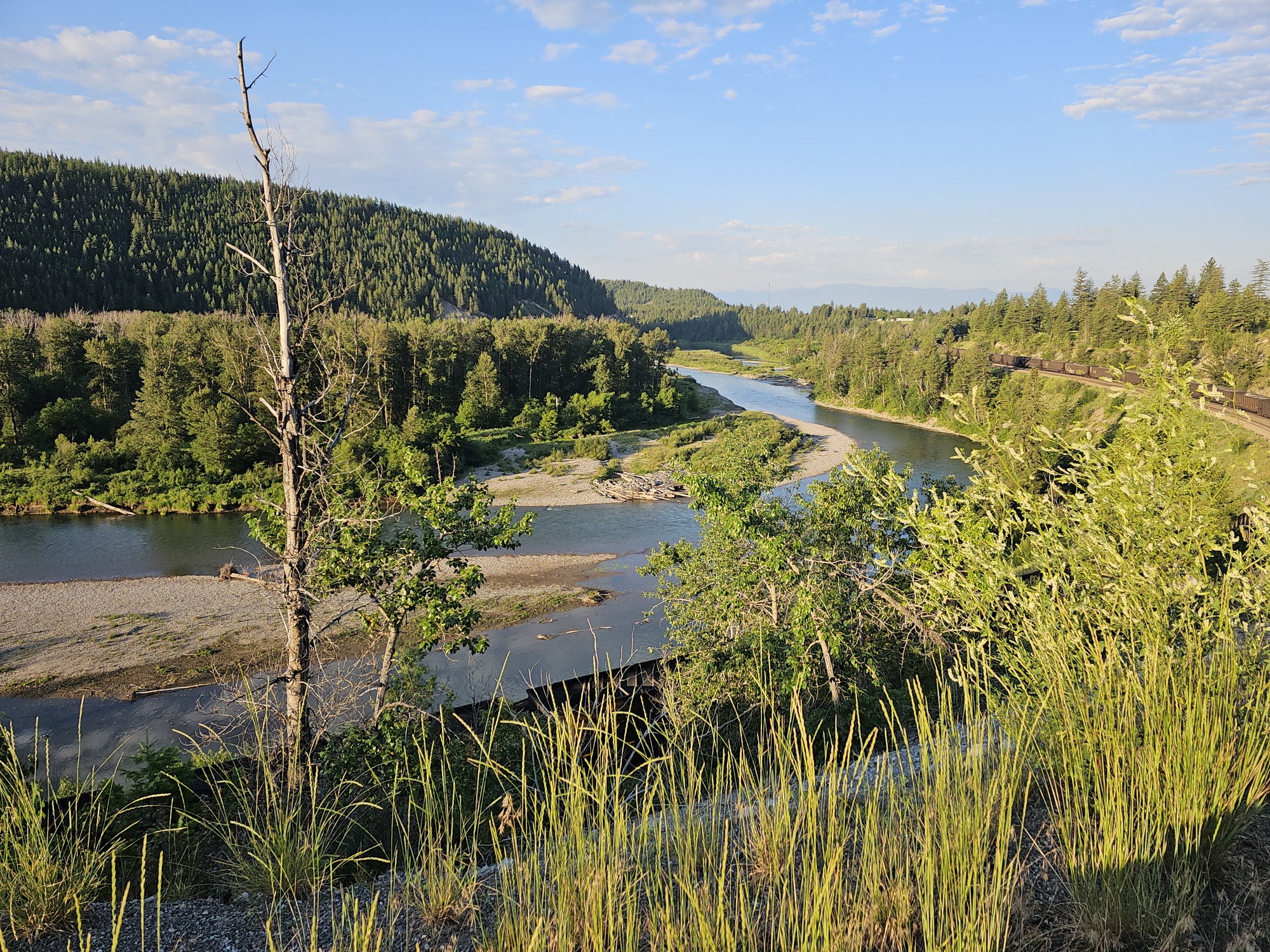 Baynes Lake - Fernie - Hey Bear! - Counting Wildlife on GDMBR - CycleBlaze