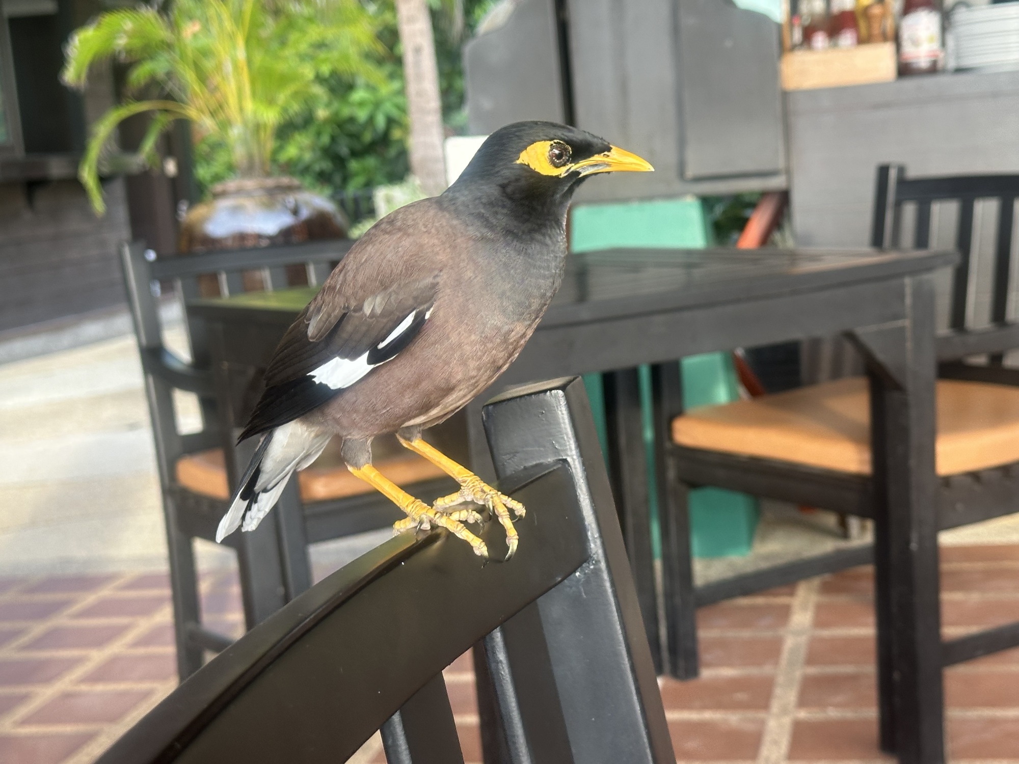 Day 126 — Kura Buri to Khao Lak - Tom and Marilee Retire to the Road ...