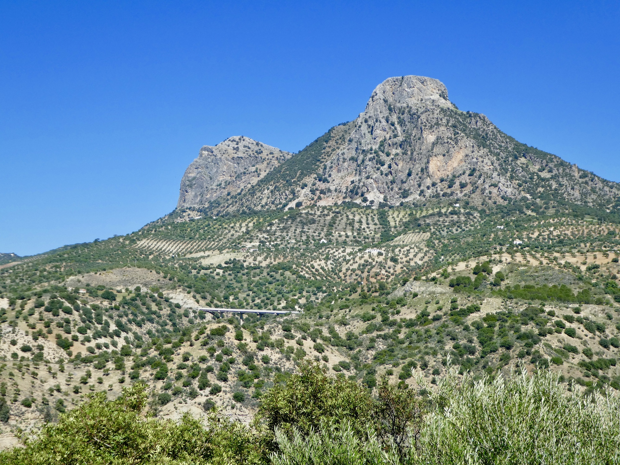 Puerto de las Palomas - Three, Two, One....Tour - CycleBlaze