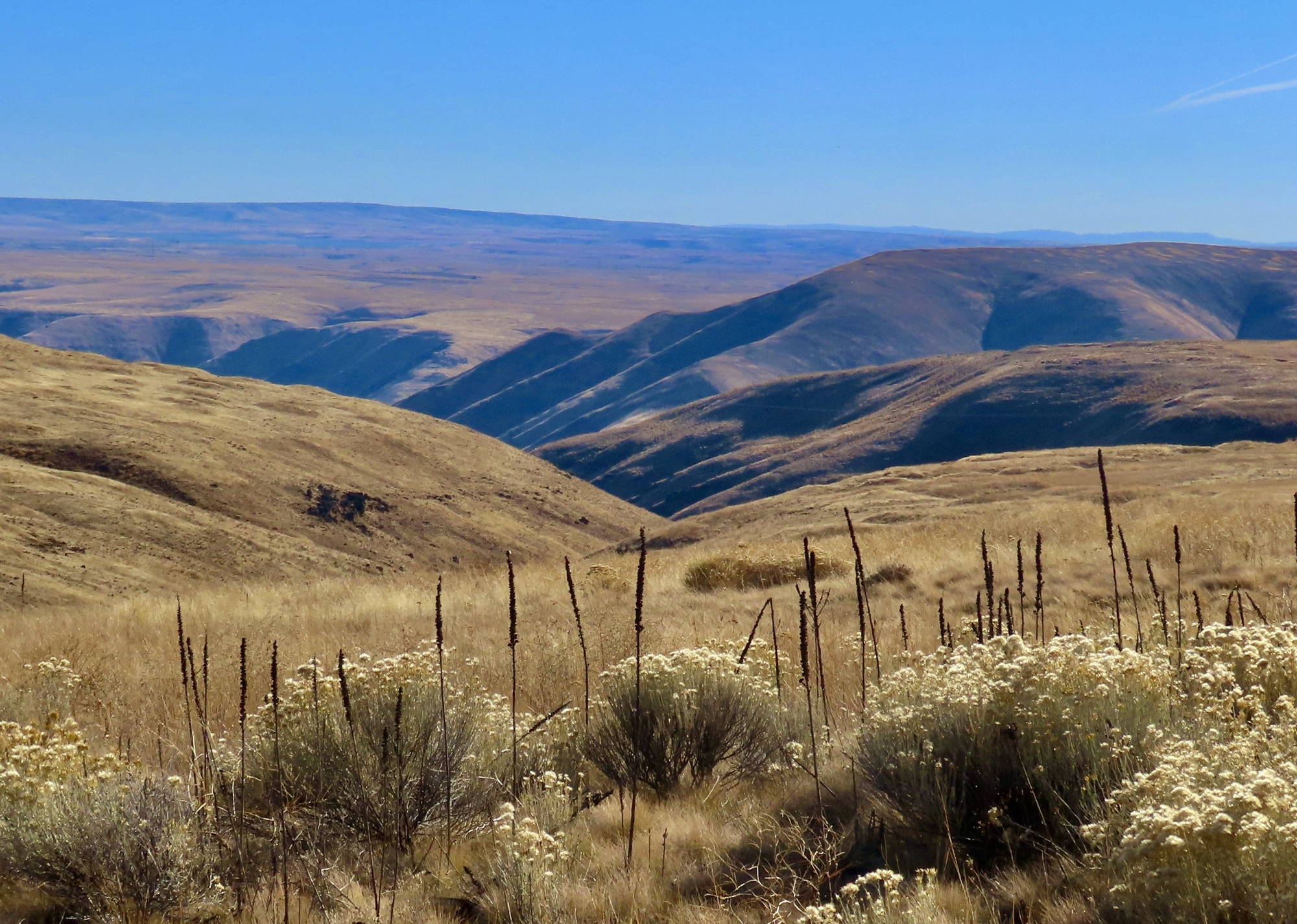 Center Ridge Road - Tyenne Travelin' 2025 - CycleBlaze