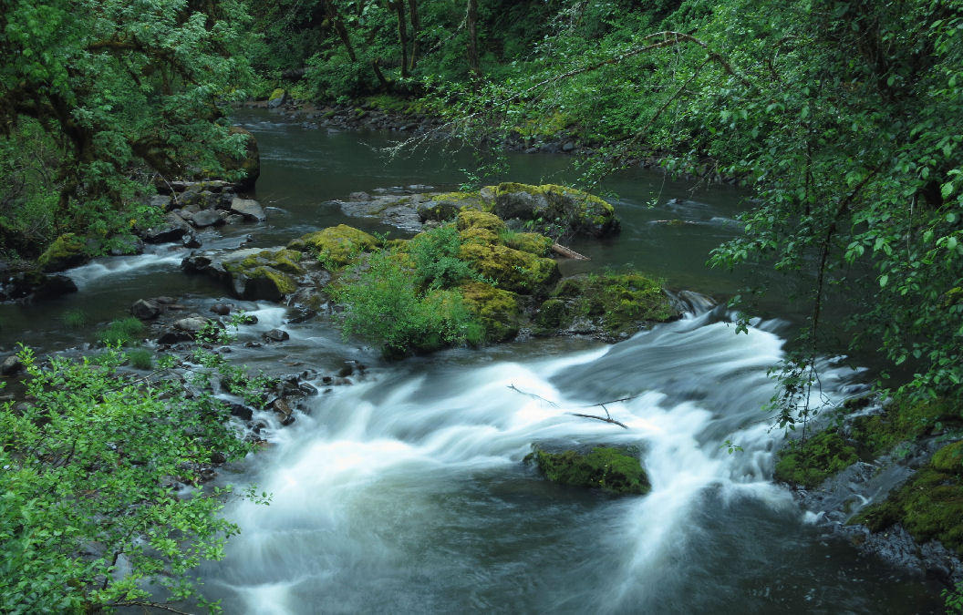 Day 3: Day trip to Layng Creek waterfalls - Waterfalls of Calapooya ...