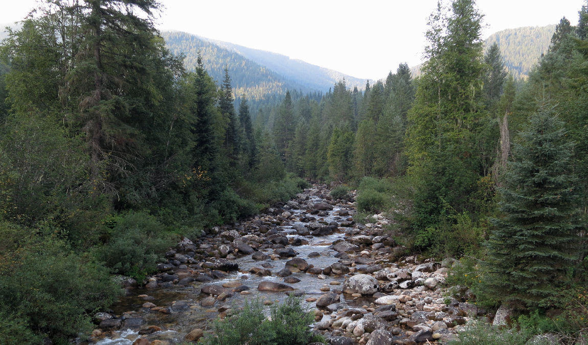 Day 16: To free camping at Lochsa lodge - Florence - Missoula - Salt ...