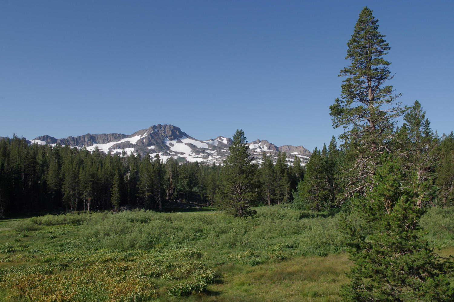 Day 7, Kirkwood, CA to Carson City, NV: Where Did the Trees Go ...