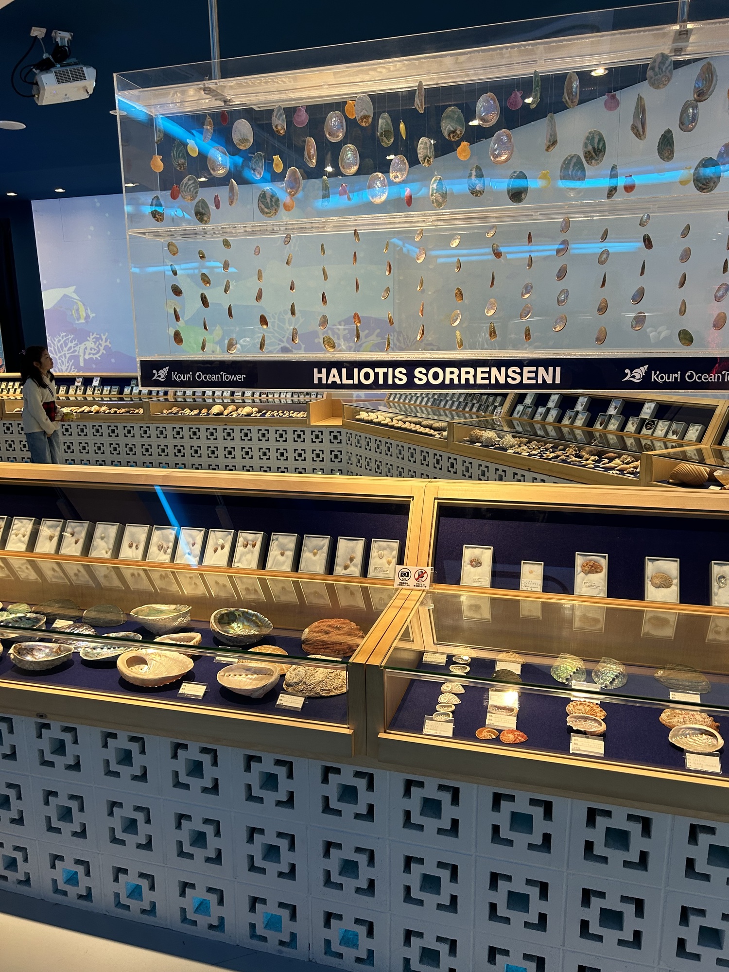 Exploring Kouri Island - Six Wheels Through Japan Part 2 - CycleBlaze