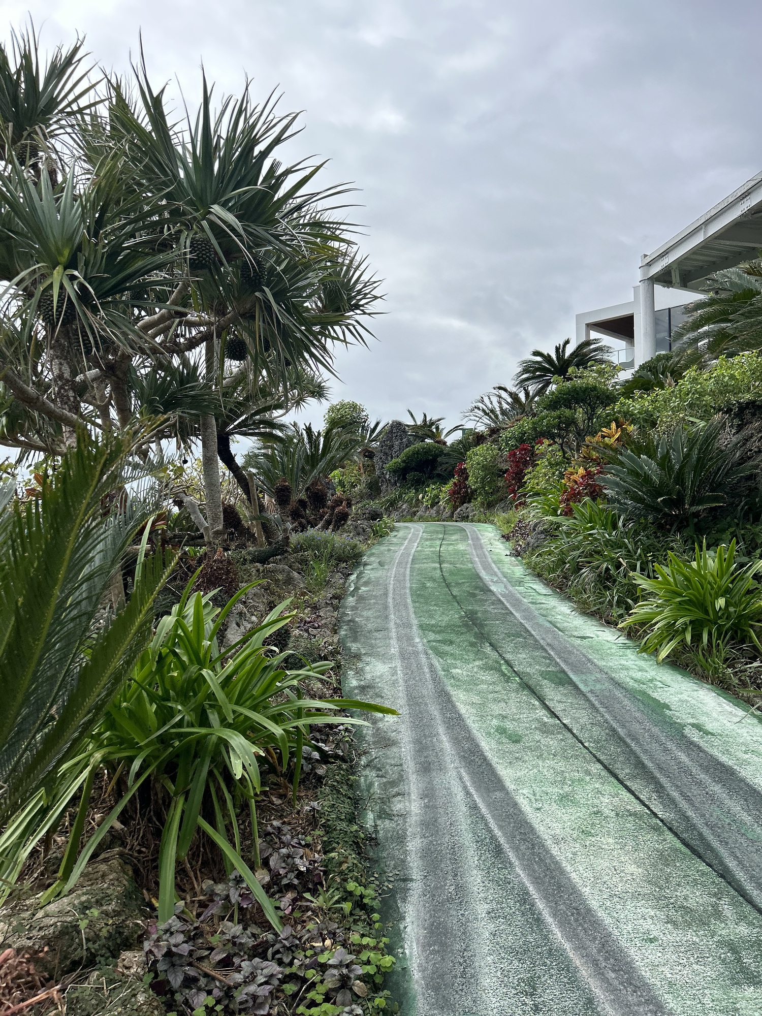 Exploring Kouri Island - Six Wheels Through Japan Part 2 - CycleBlaze