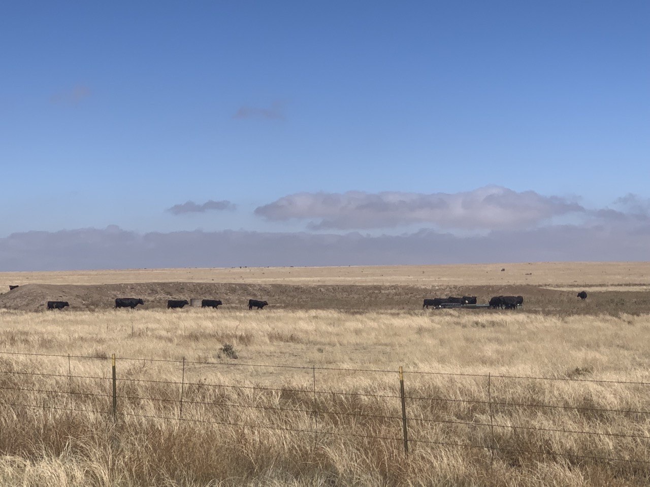 Day 6 - West of Pritchett Colorado to Pritchett Colorado - It Remains ...