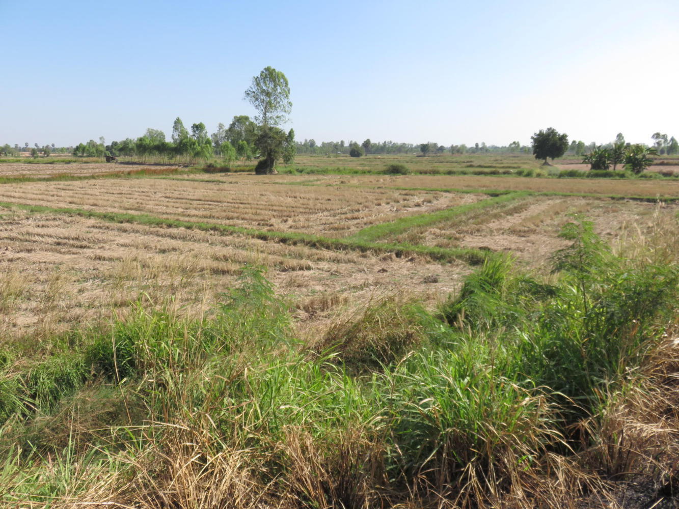 To Non Din Daeng: Slow and easy - A Loop around Southeast Asia - CycleBlaze