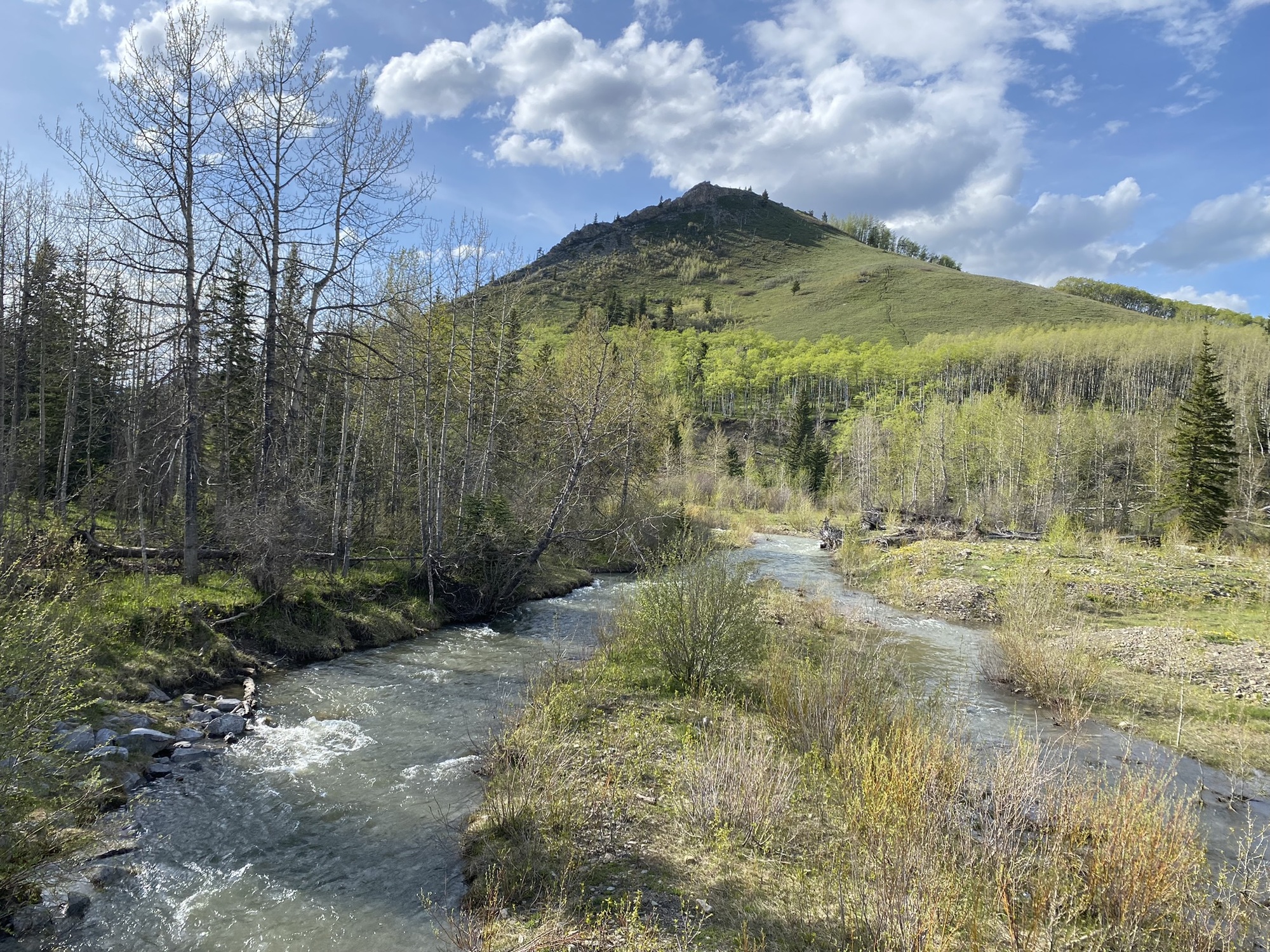 Willow Creek Campground to Indian Graves Campground - Southern Alberta ...