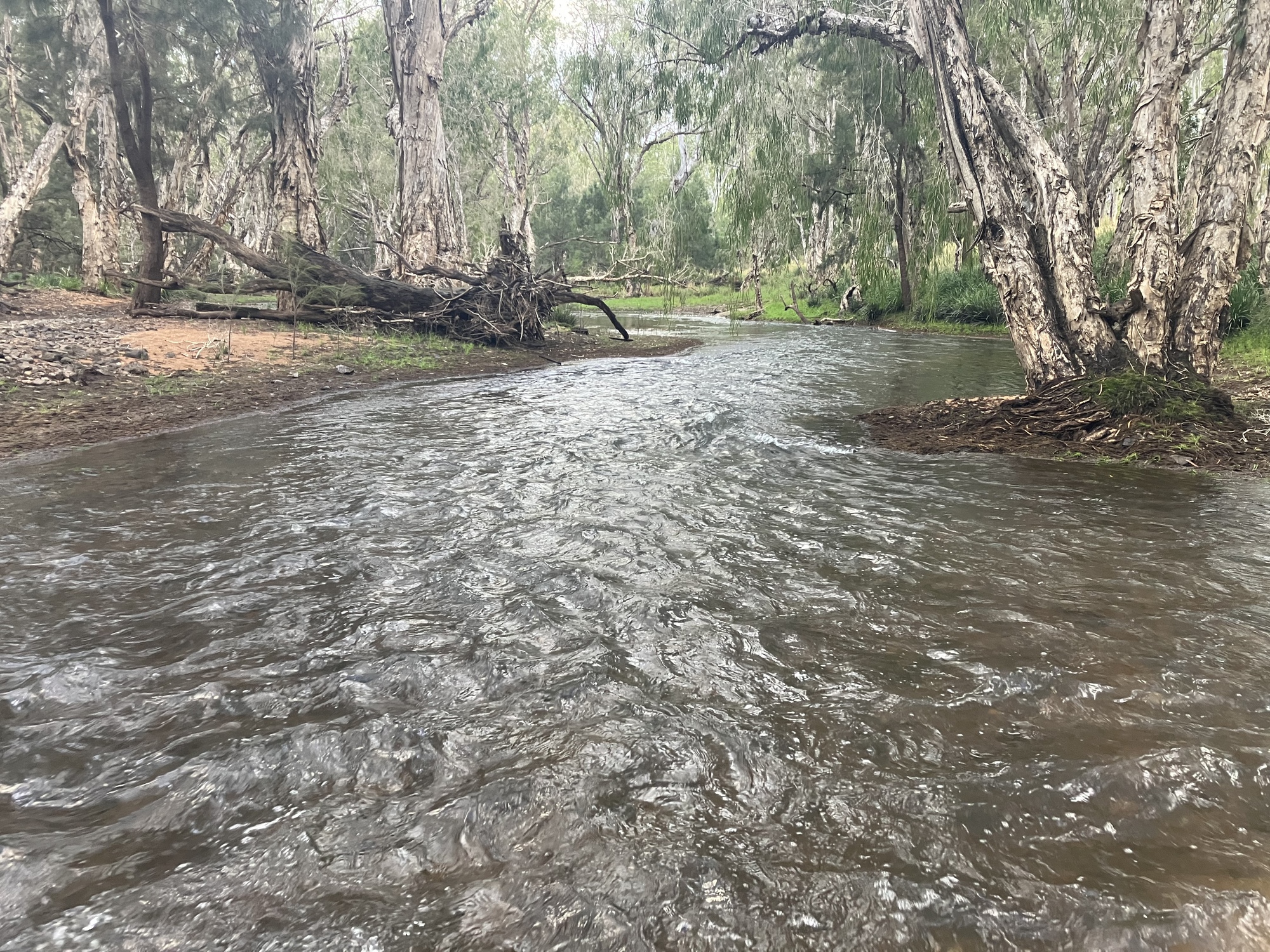 Day 7: Clarke creek to funnel creek - Gladstone to Cairns 2024 - CycleBlaze