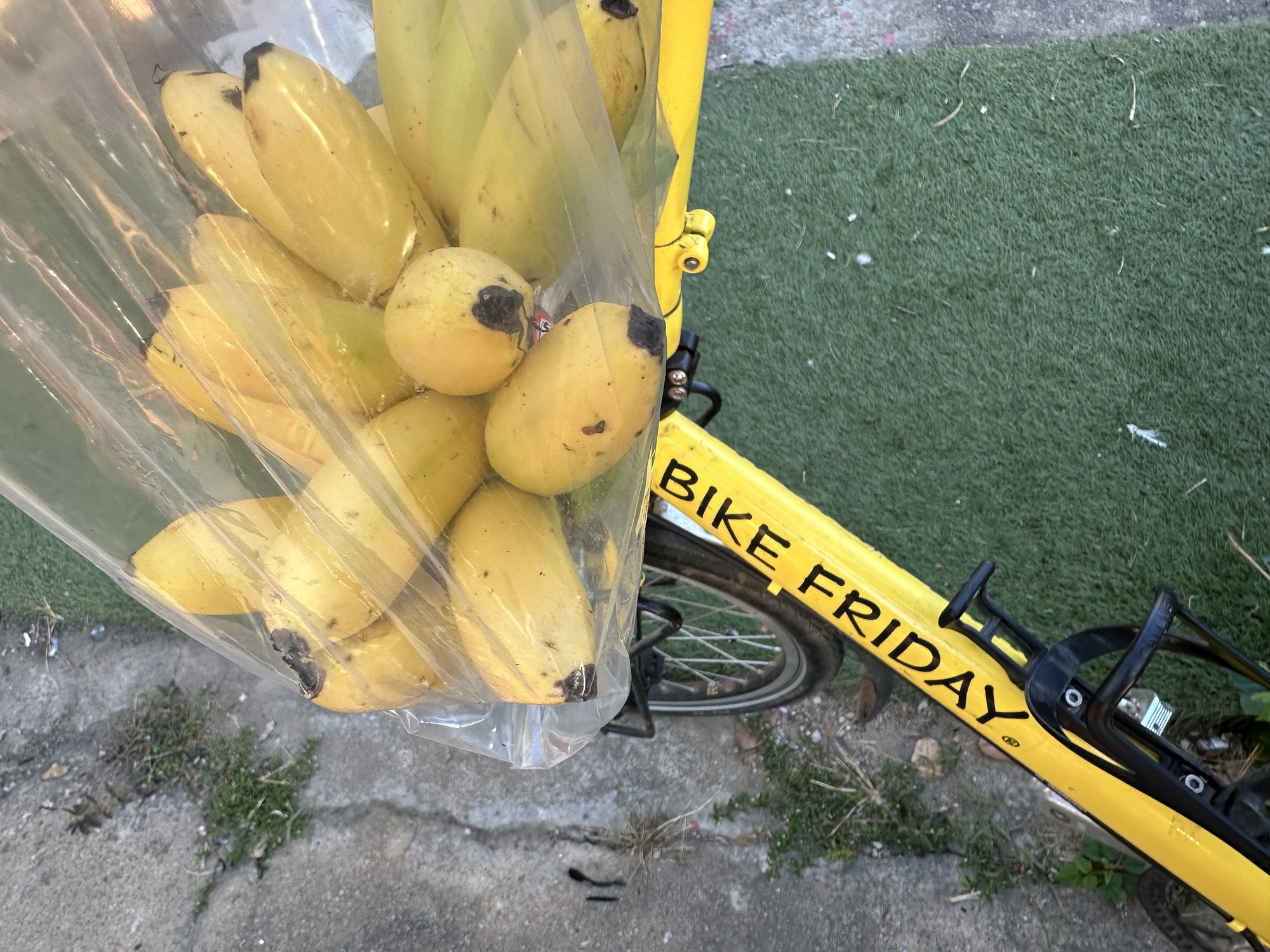 Has Our Trip Just Begun or Is It Half Over? - Song of the Koel - CycleBlaze