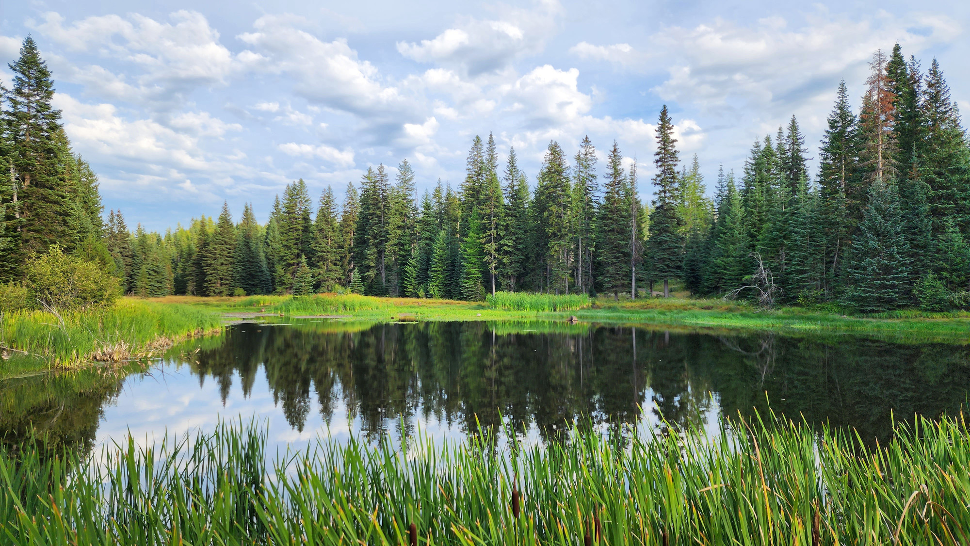 Day 6: Milton-Freewater to ABC Mountain Retreat - Exploring Northeast ...