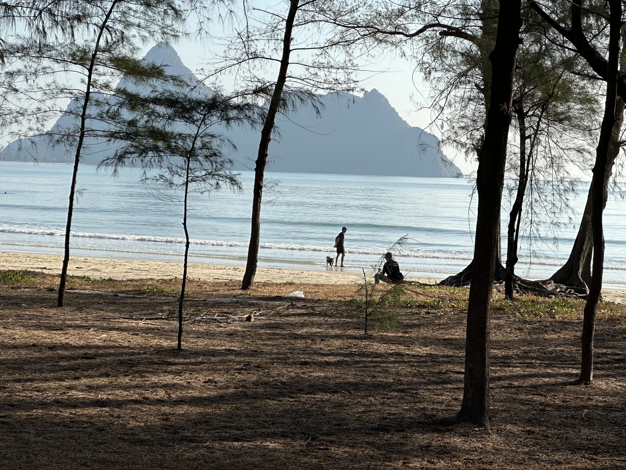 All Quiet and Orderly - Song of the Koel - CycleBlaze