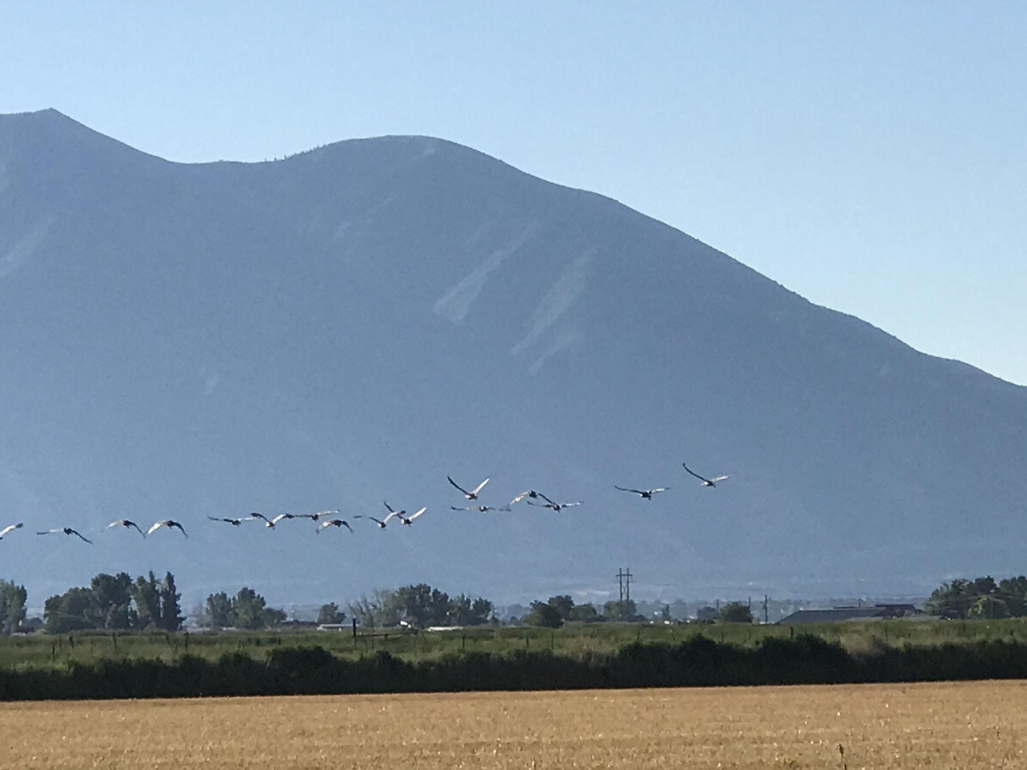 Payson - Heber City, UT - Big Mountains, Small Towns. - CycleBlaze