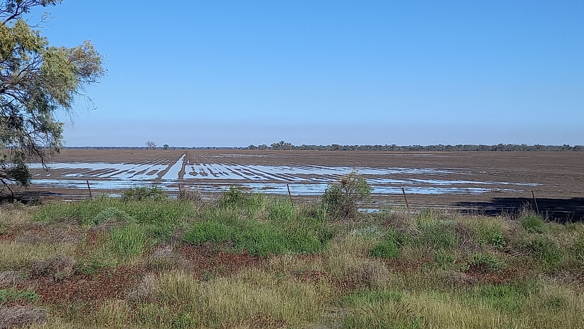 Wildcamp on the Telleraga Road - The fifteenth step ... Four months in ...