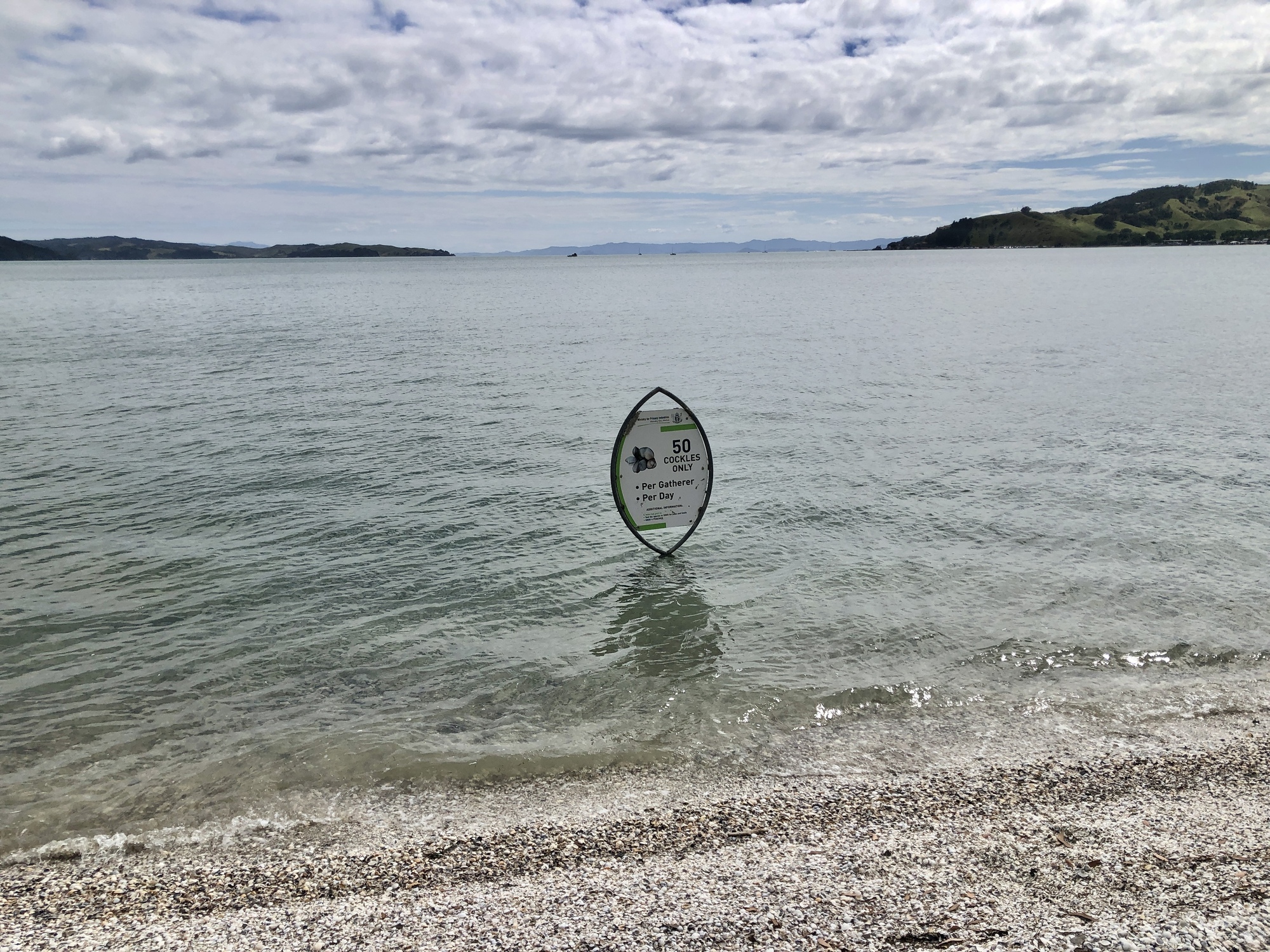 Orere Point to Auckland - Retyrement on 2 Wheels 8 - CycleBlaze
