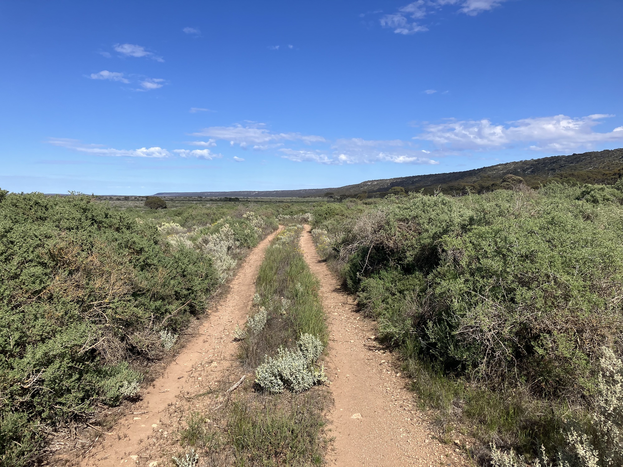 Day 36: Eyre to Moodini Bluff rest area - Perth to Adelaide - CycleBlaze