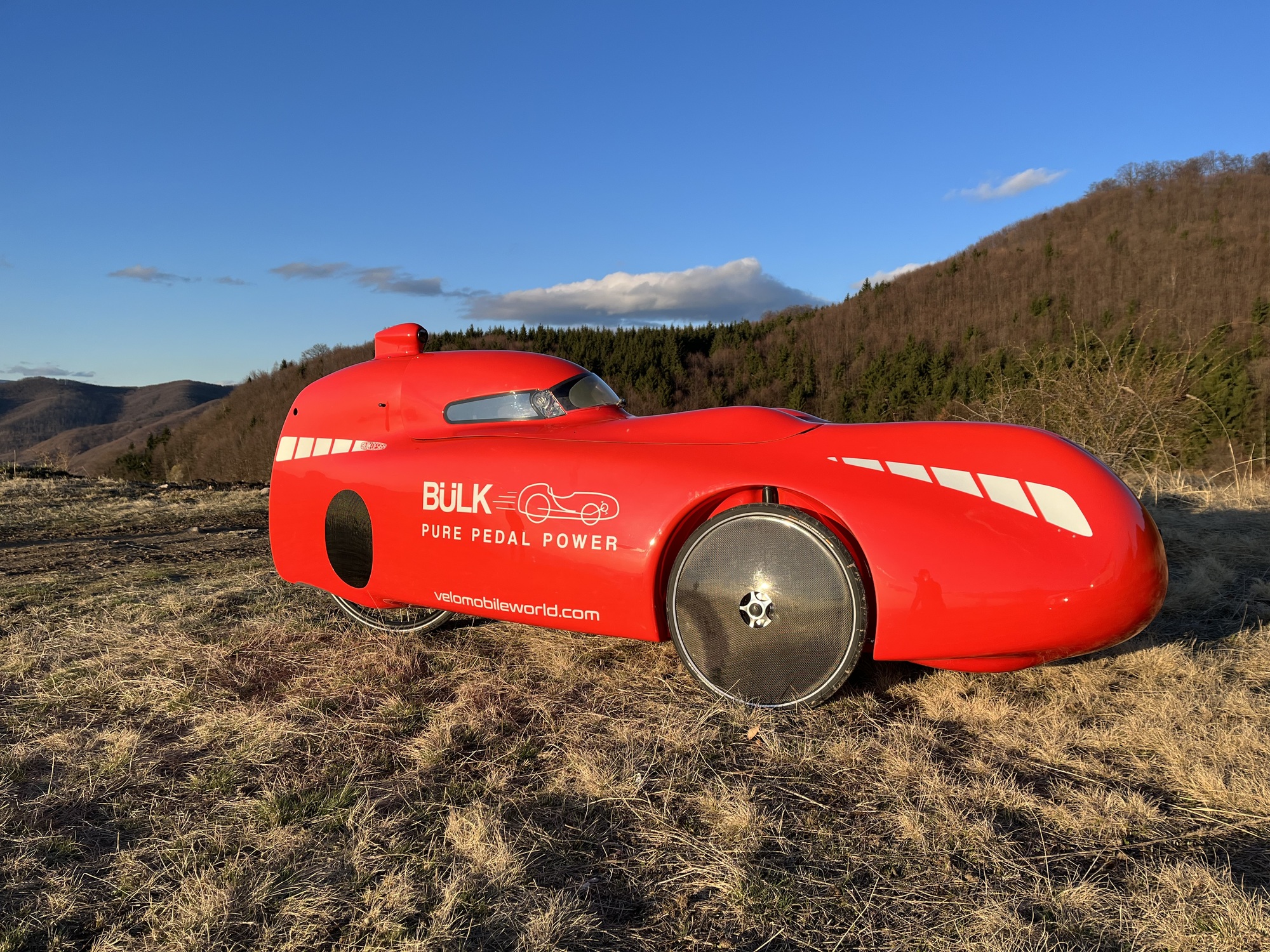 Meet the Mule of Choice for this Adventure - Munich-Reschen Pass ...