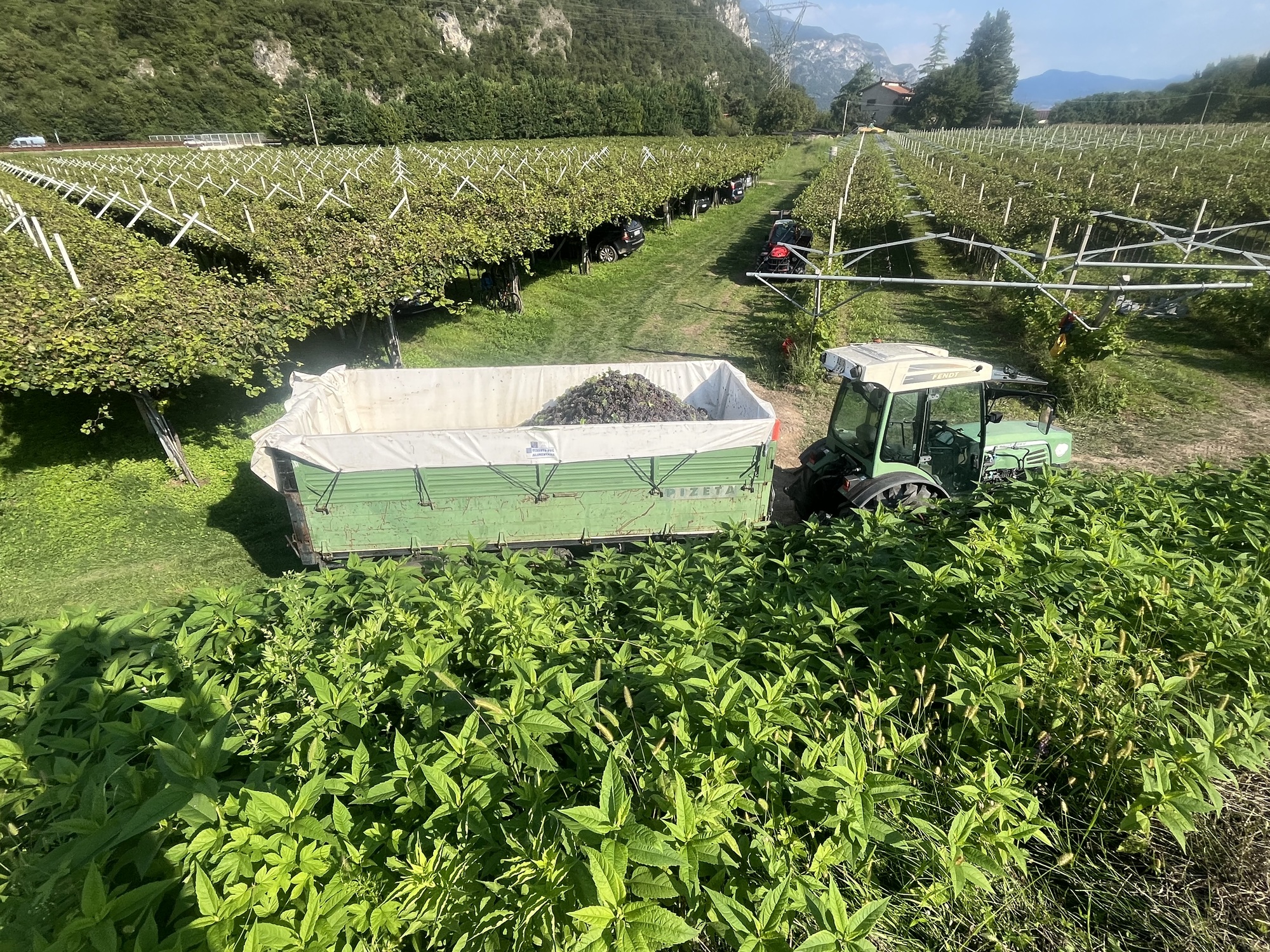 Days 16-17 Lago di Garda - Basel to Bari - CycleBlaze
