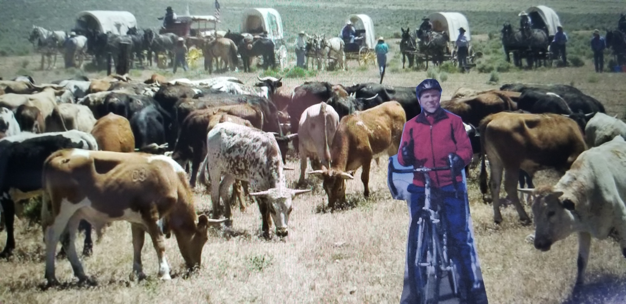 American Dreamer - Ersatz Cowboy Lassos The Wild West - CycleBlaze