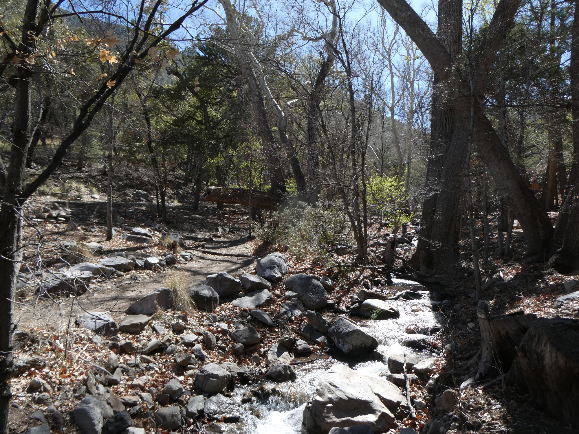 El Tour de Zona: To Ramsey Canyon - 14 Wheels to Tucson - CycleBlaze