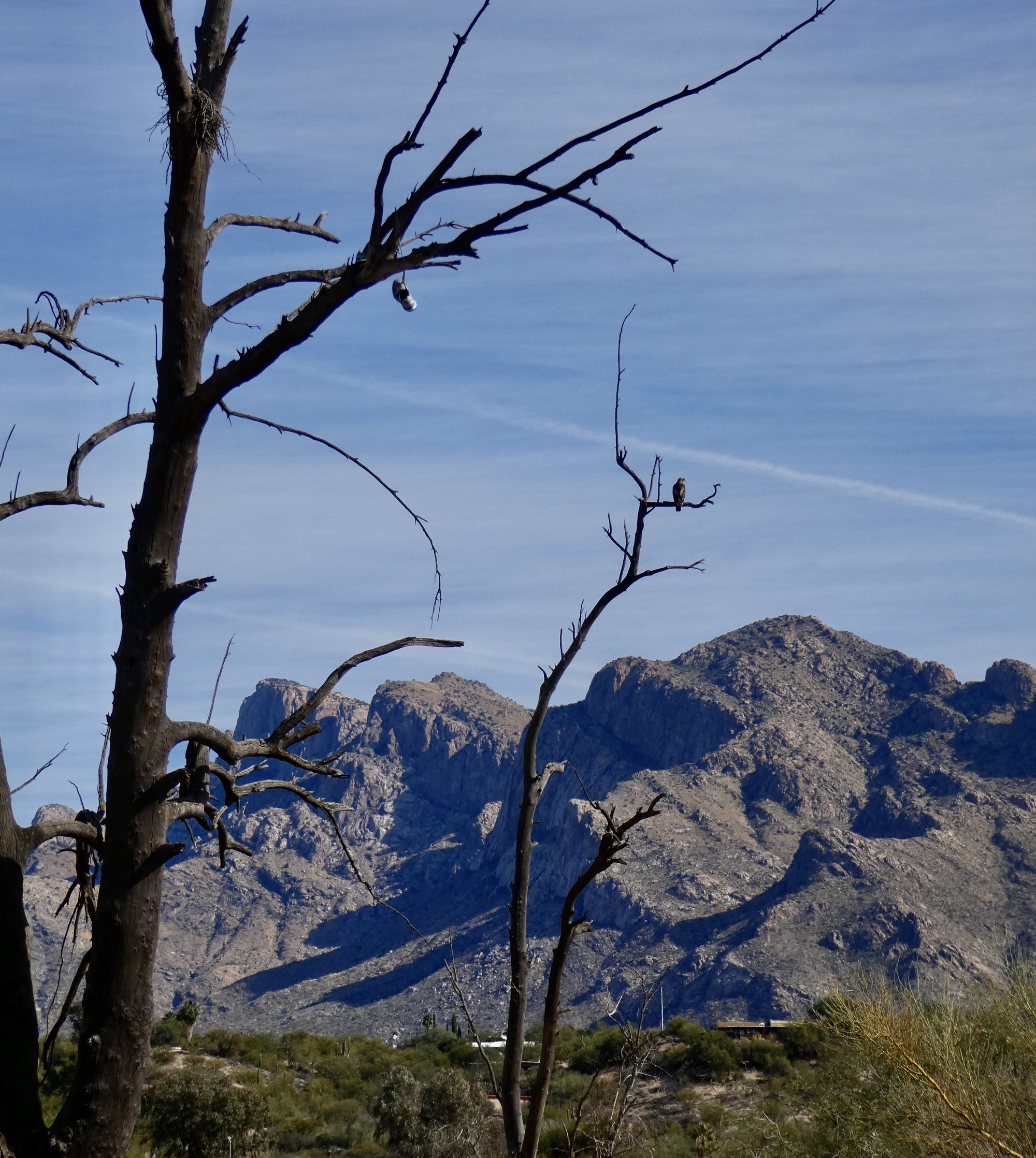 Catalina State Park - Winterlude 2021 - CycleBlaze