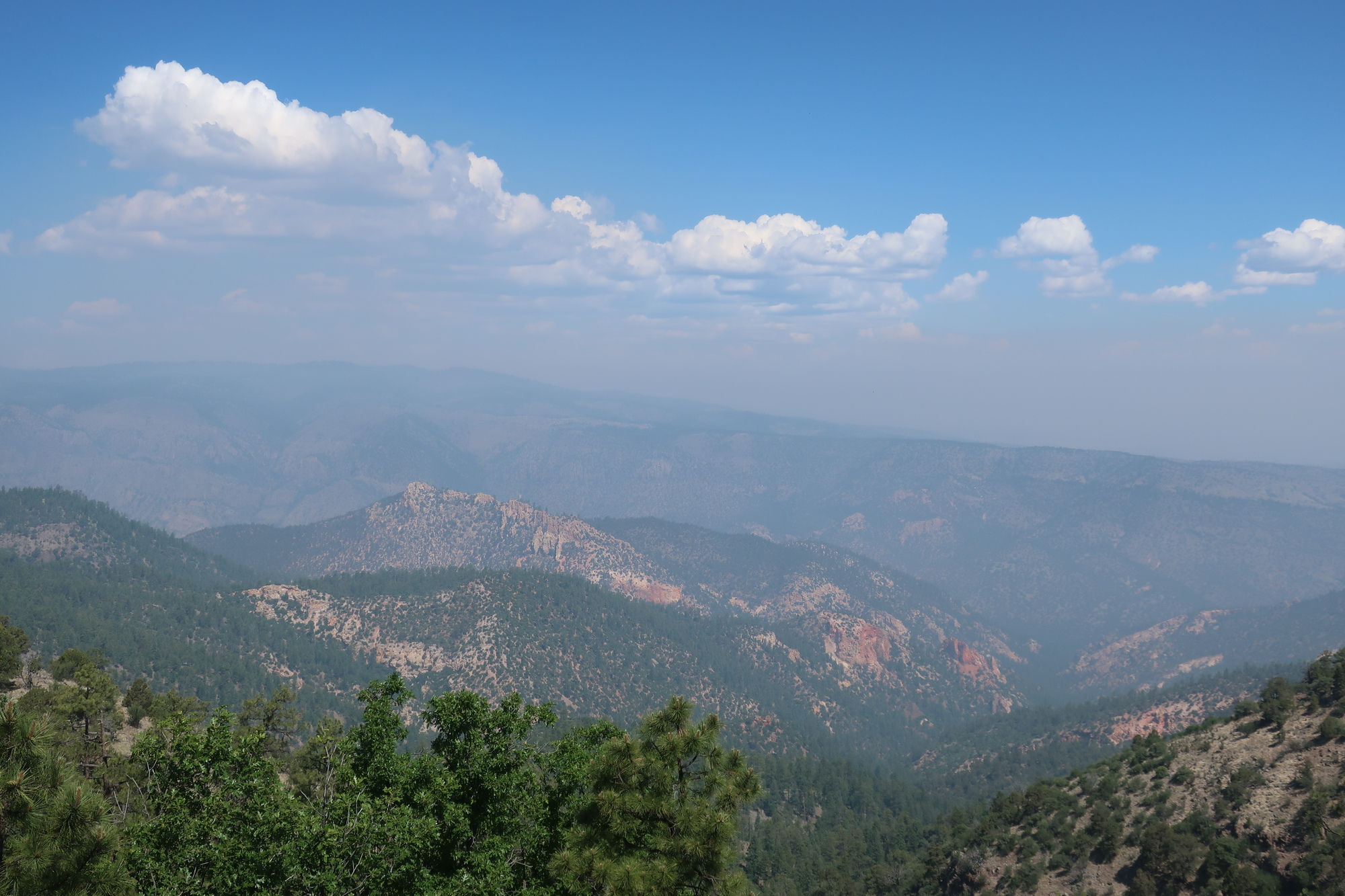 06/03/23 Lake Roberts to Gila Hot Springs - Training Ride - CycleBlaze