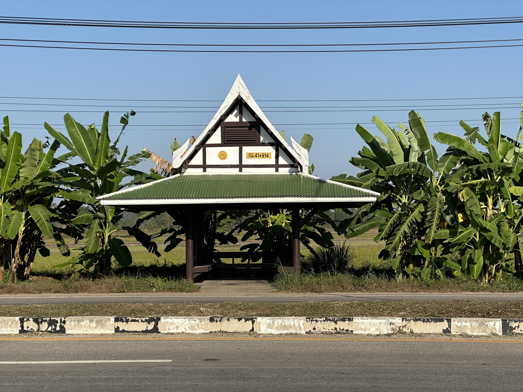 There’s Always Food in Thailand - Song of the Koel - CycleBlaze