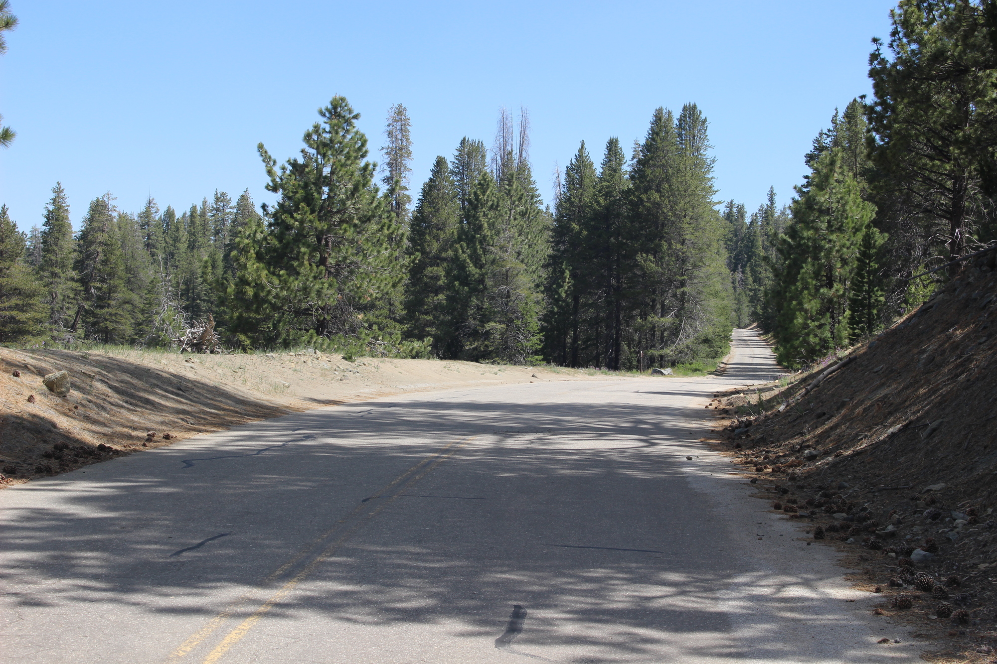 Day Five: Johnny McNally's Fairview Lodge to Kennedy Meadows General ...