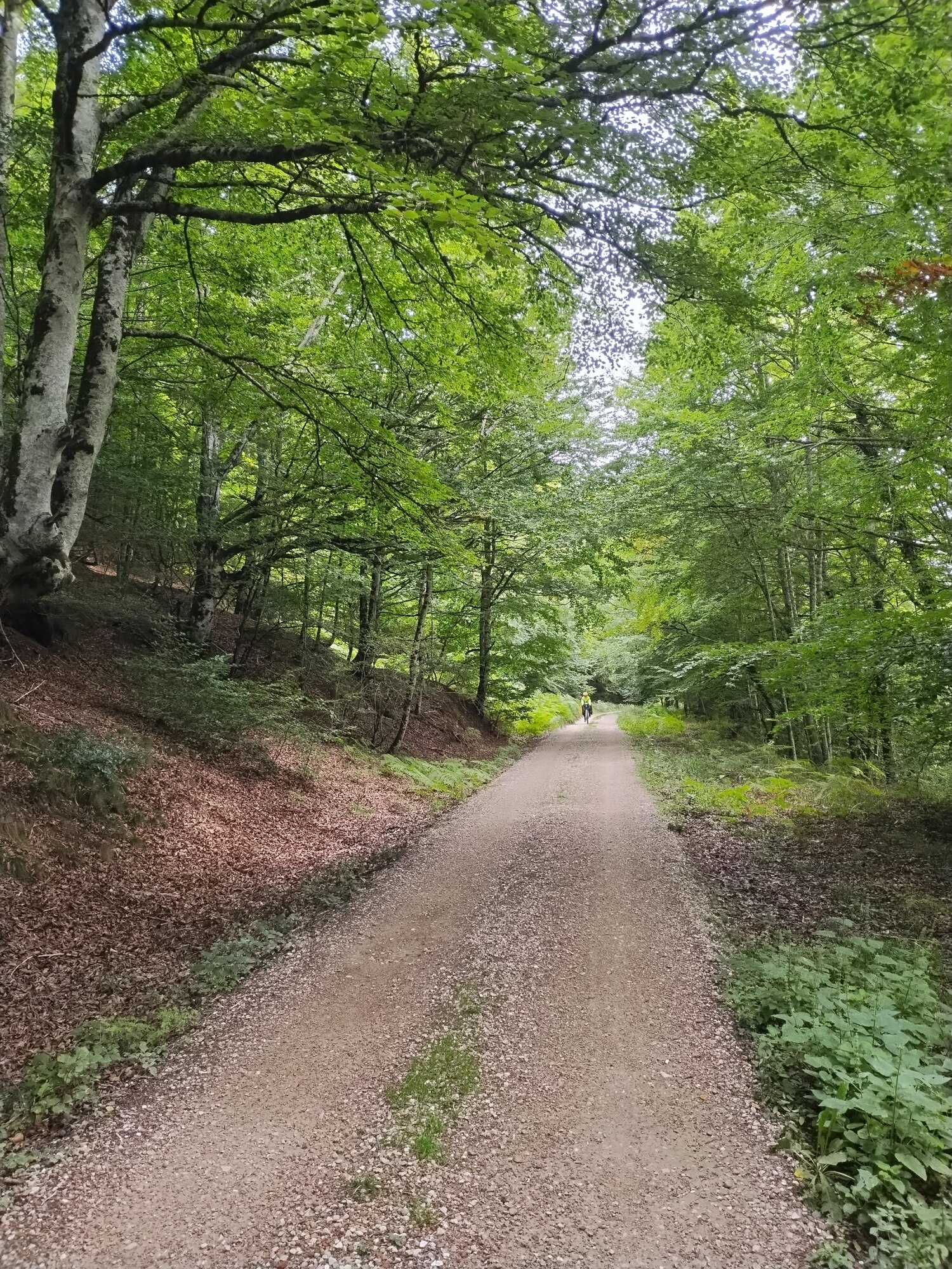 Auritz/Burguete to Pamplona - Freedom's Just Another Word - CycleBlaze