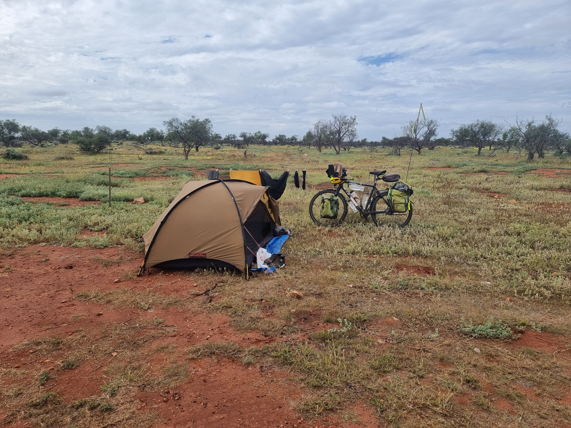 Day 64: Wooramel roadhouse to Overlander roadhouse - A happy ride ...