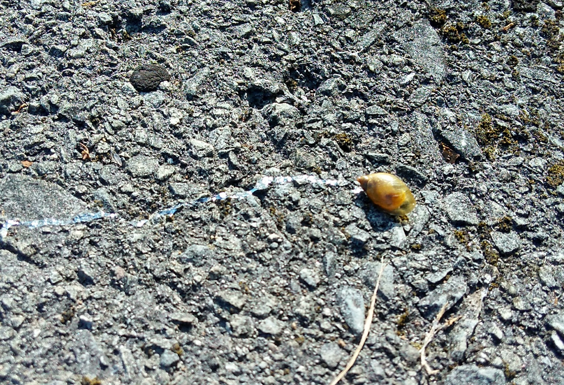 Snail trail. - Two Far 2018 - Trailing through the Rust Belt - CycleBlaze