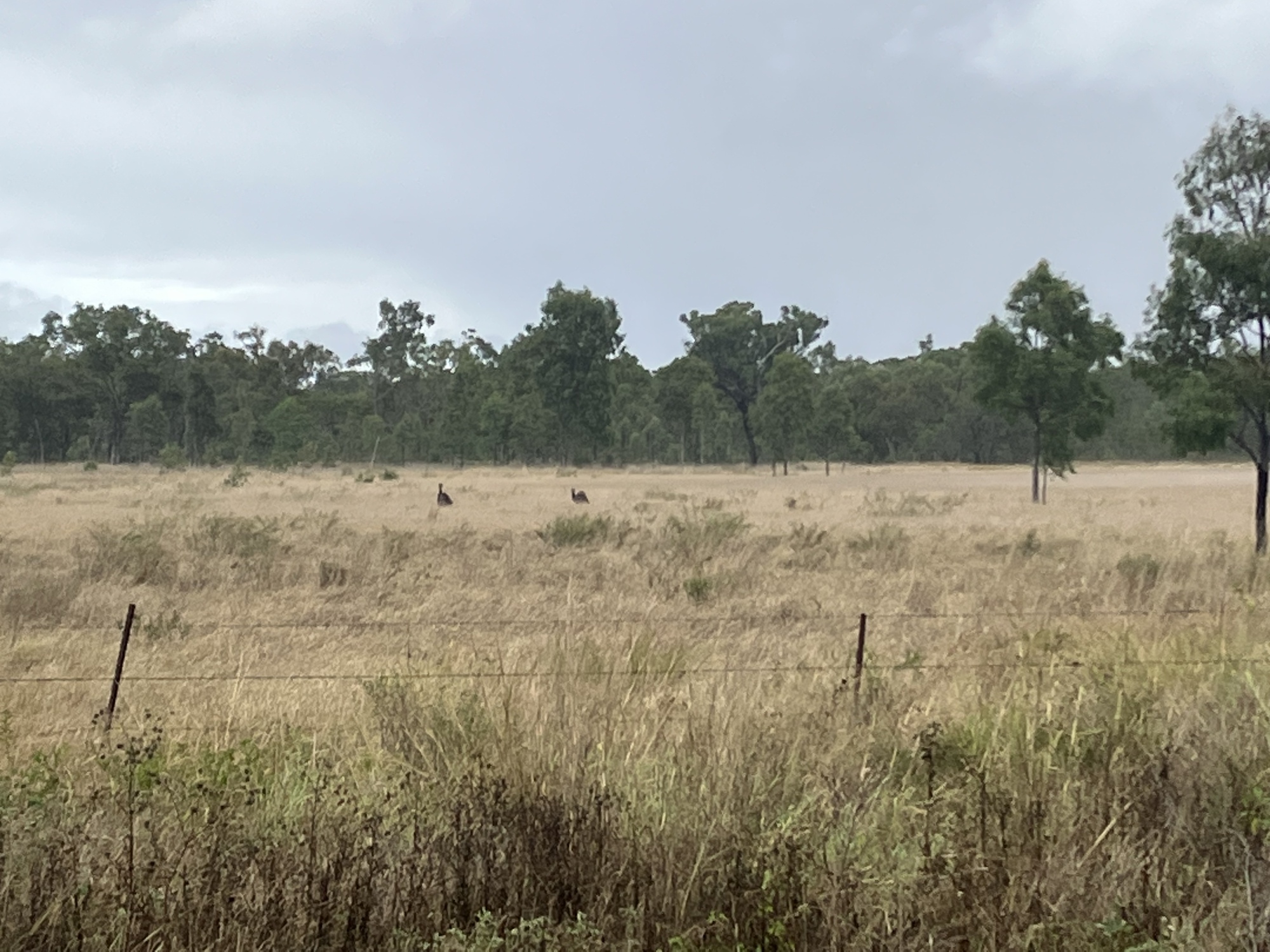 Day 7: Clarke creek to funnel creek - Gladstone to Cairns 2024 - CycleBlaze