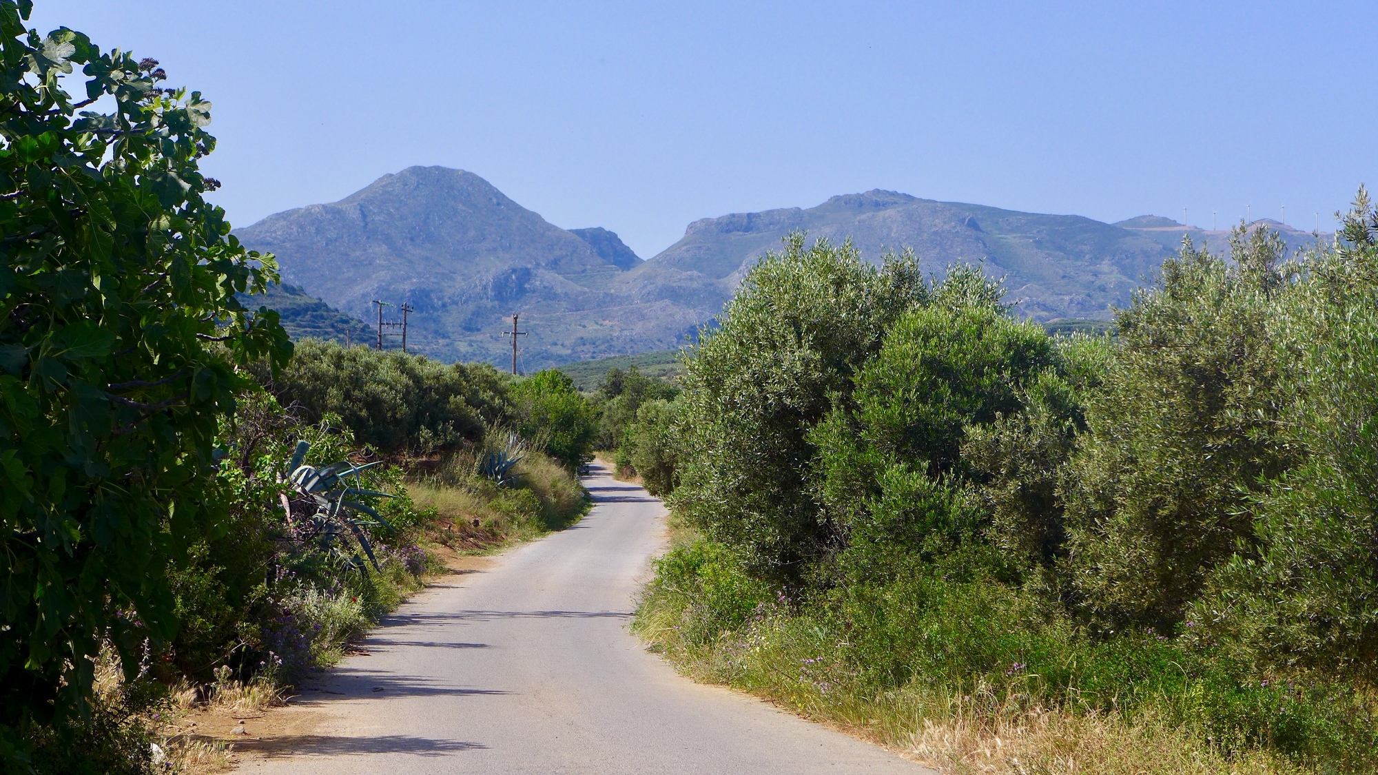 Topolia Gorge - North to the Balkans - CycleBlaze