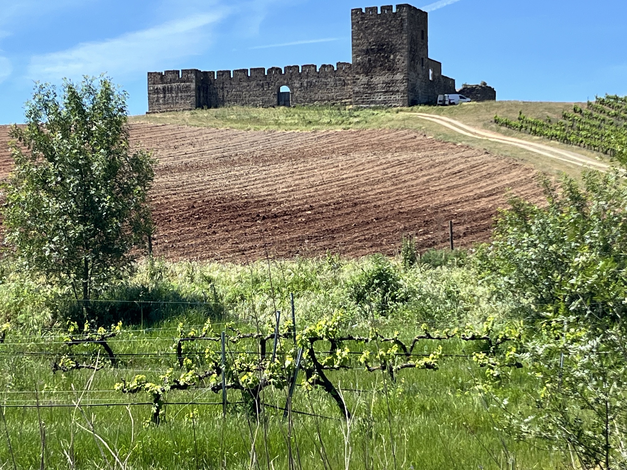 Day 8: Monsaraz to Évora - Ruby or Tawny - Let the Search Begin ...