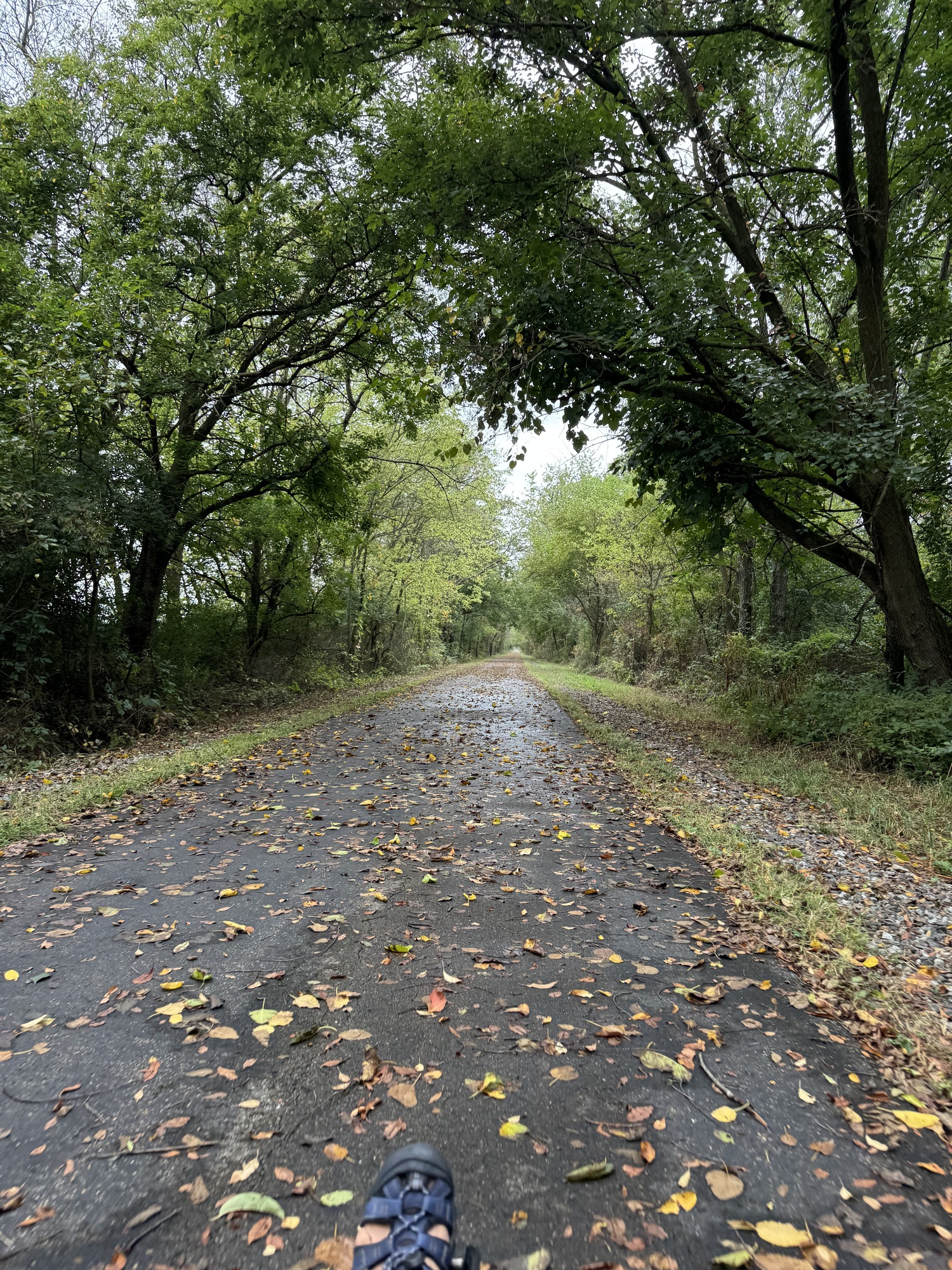 19th Ride: Prairie Grass Trail - PedalPushin the Ohio River Valley 2025 ...