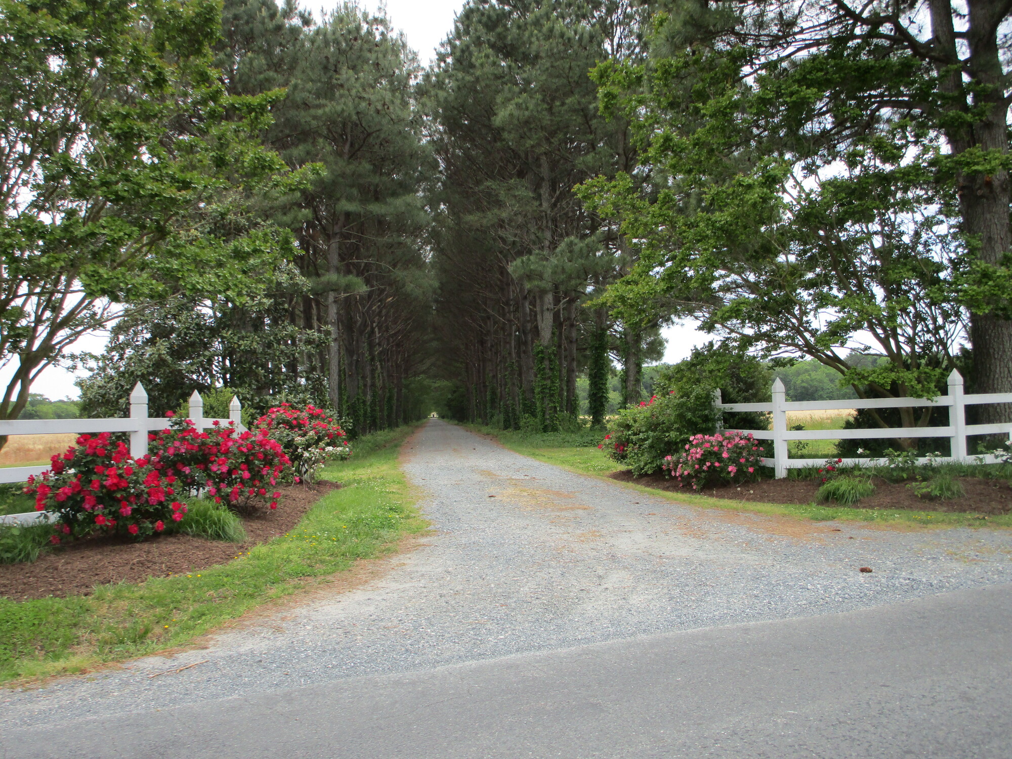 Day 022 - Virginia Beach to Exmore - Two Far 2023 - Oranges to Apples ...
