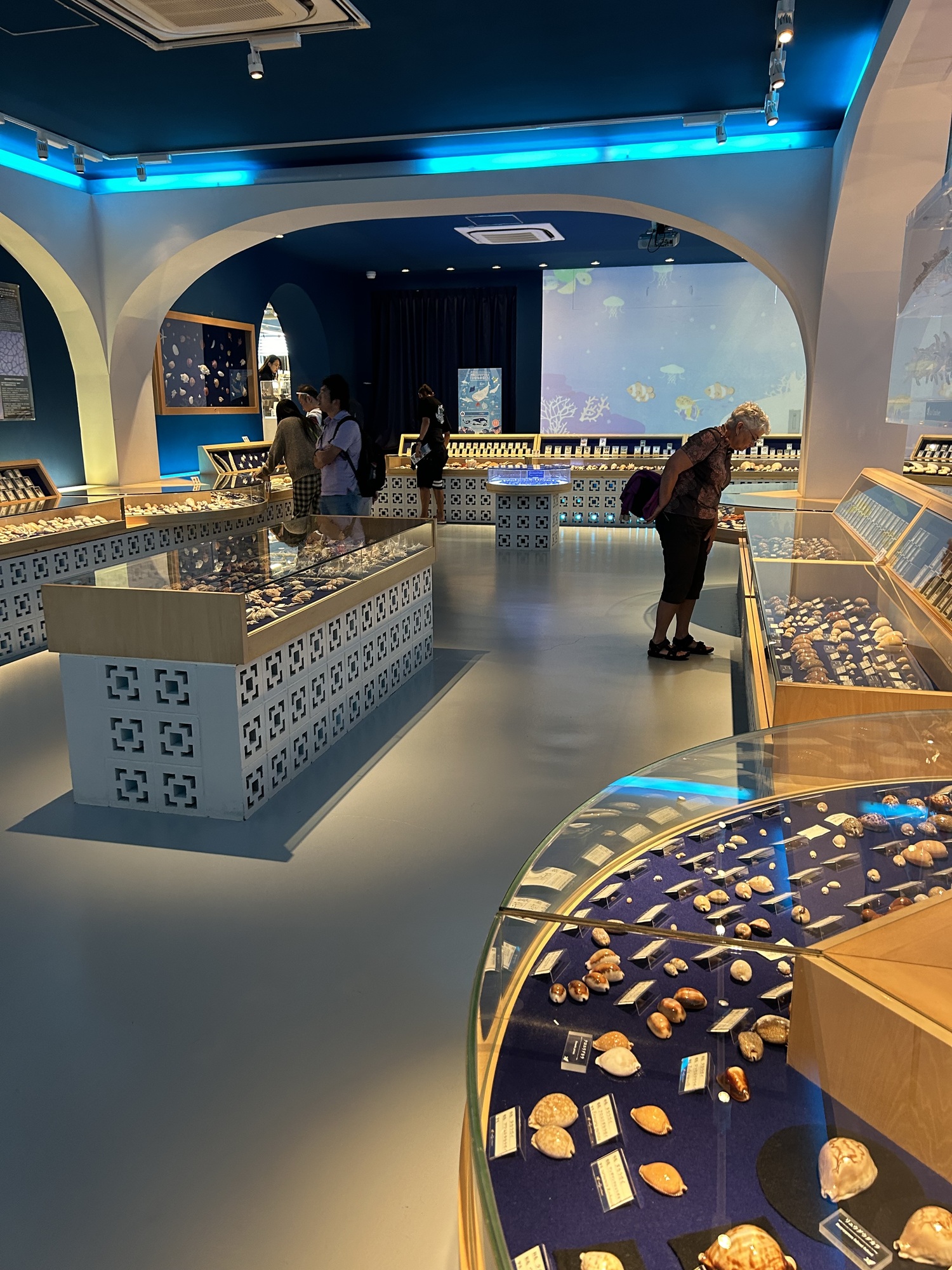 Exploring Kouri Island - Six Wheels Through Japan Part 2 - CycleBlaze