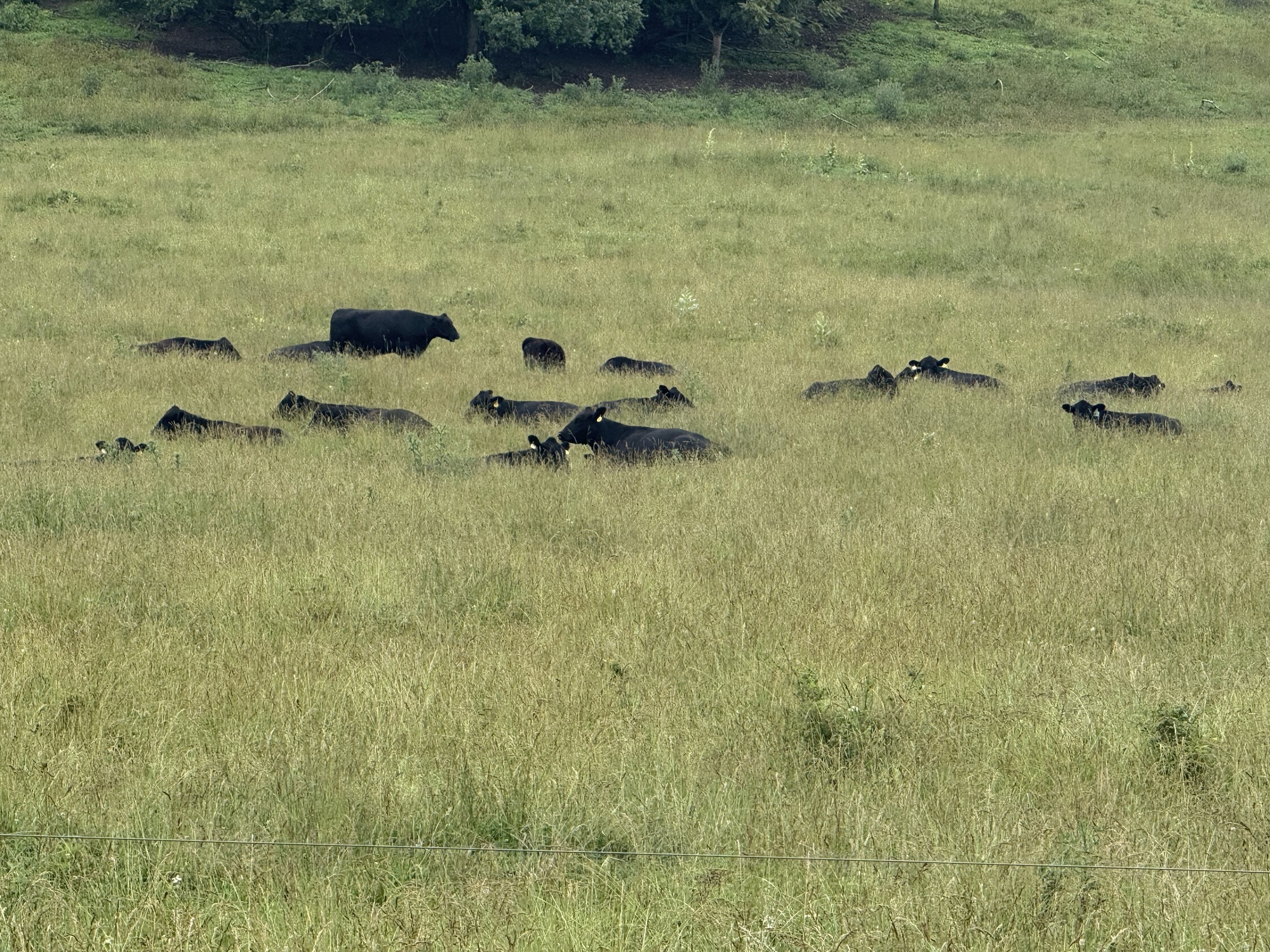 65: little richard's bumpersticker, quicksand, rock formations, 100% ...