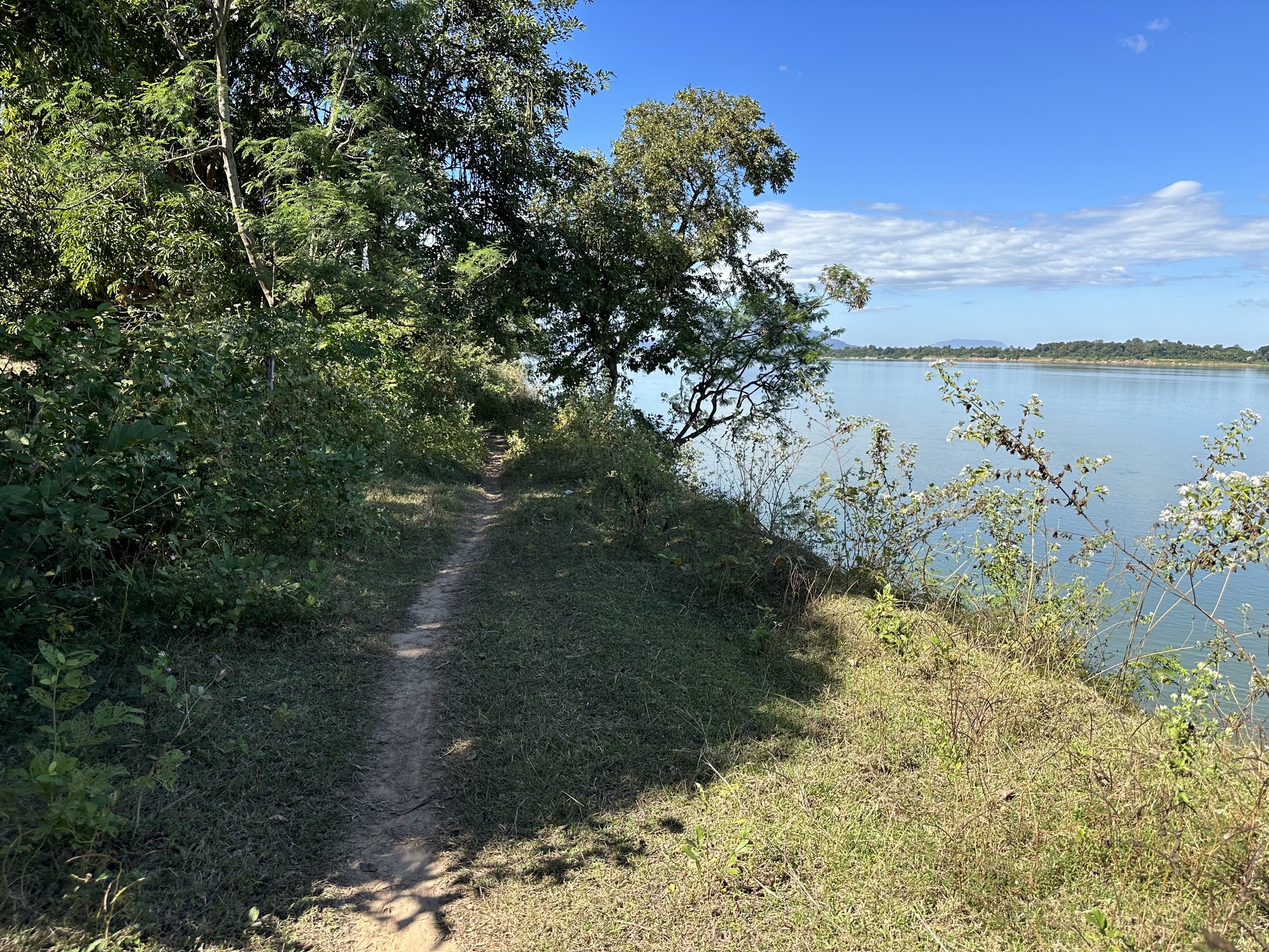 Rollercoaster Brain Rattled - Unchained Melody - CycleBlaze
