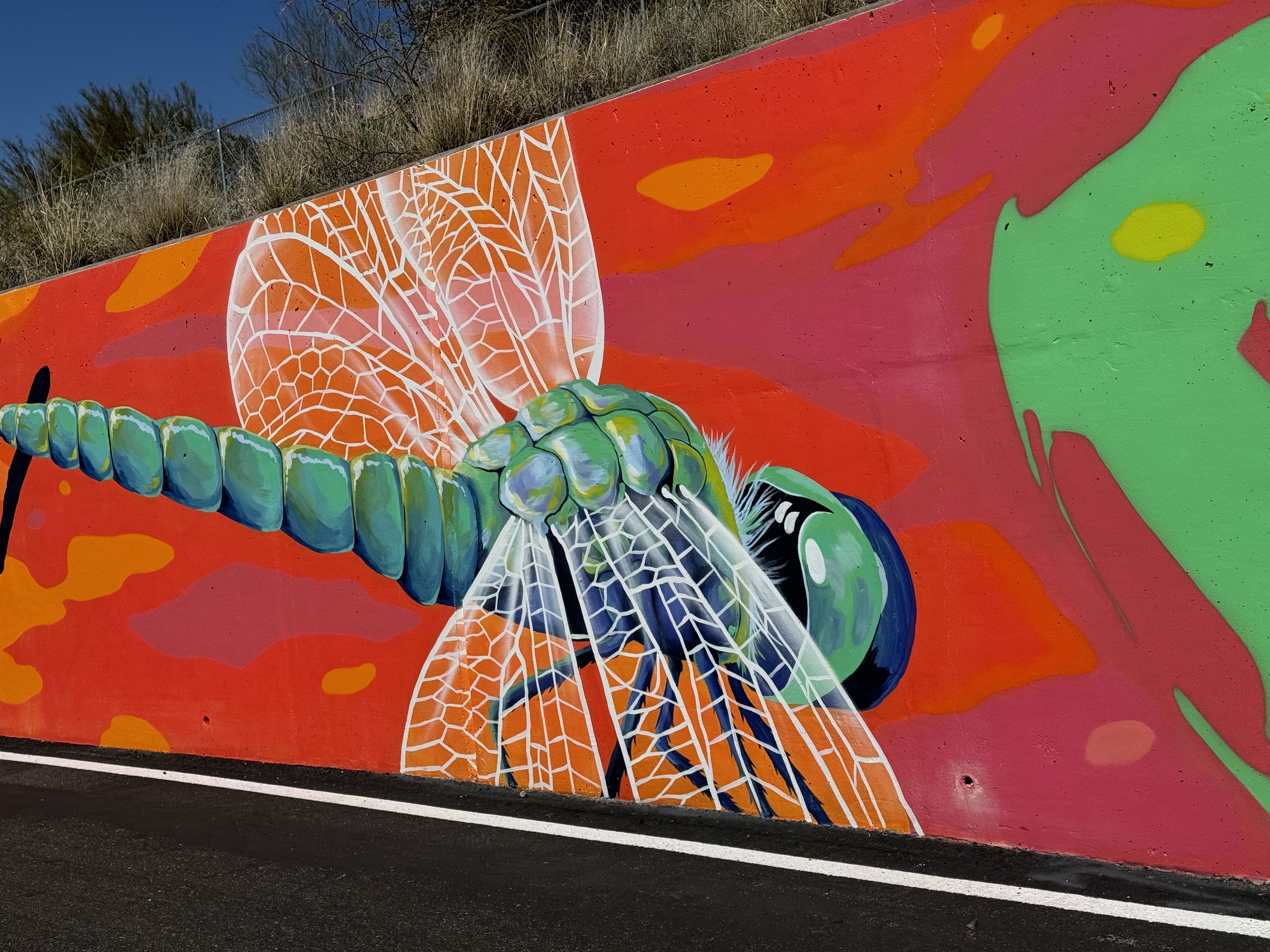 Day 9 - The “Hornless” Loop - PedalPushin 2024 - CycleBlaze